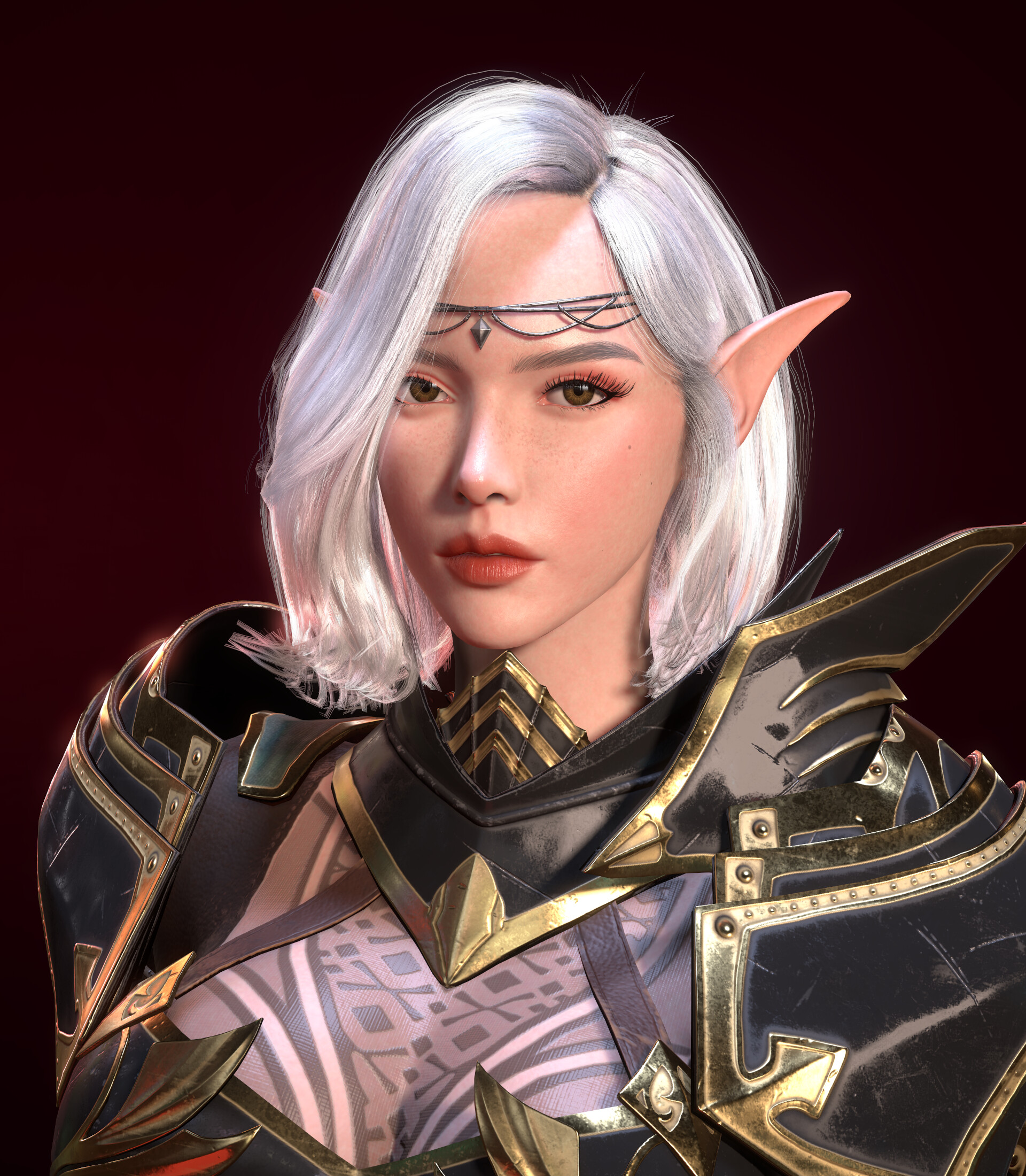 ORR - Dual Sword Elf