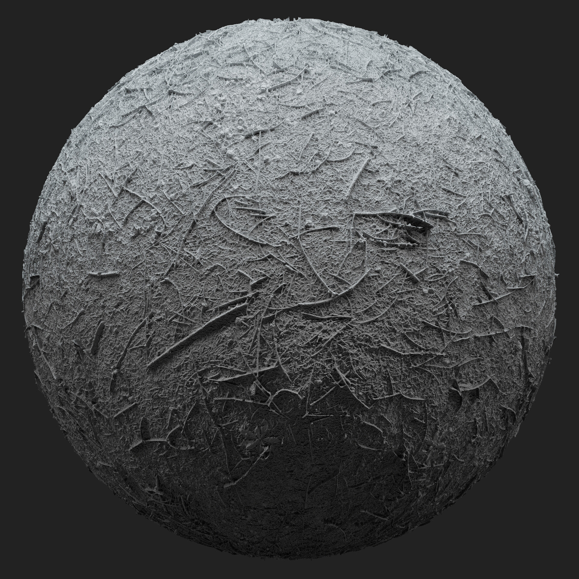 3D Scanned Textures - Leaves and Pine Forest Textures | Photoscanned