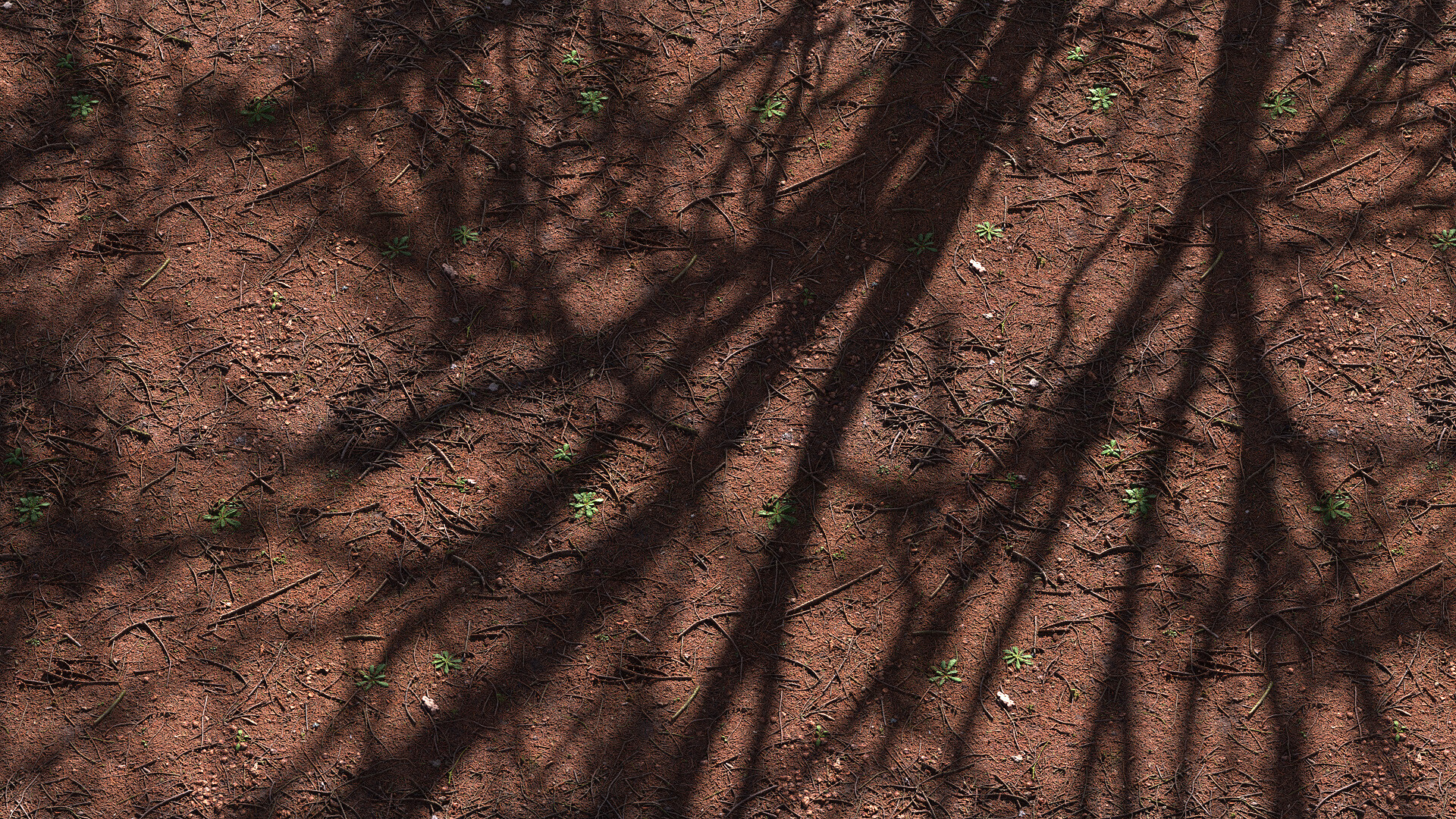 3D Scanned Textures - Leaves and Pine Forest Textures | Photoscanned