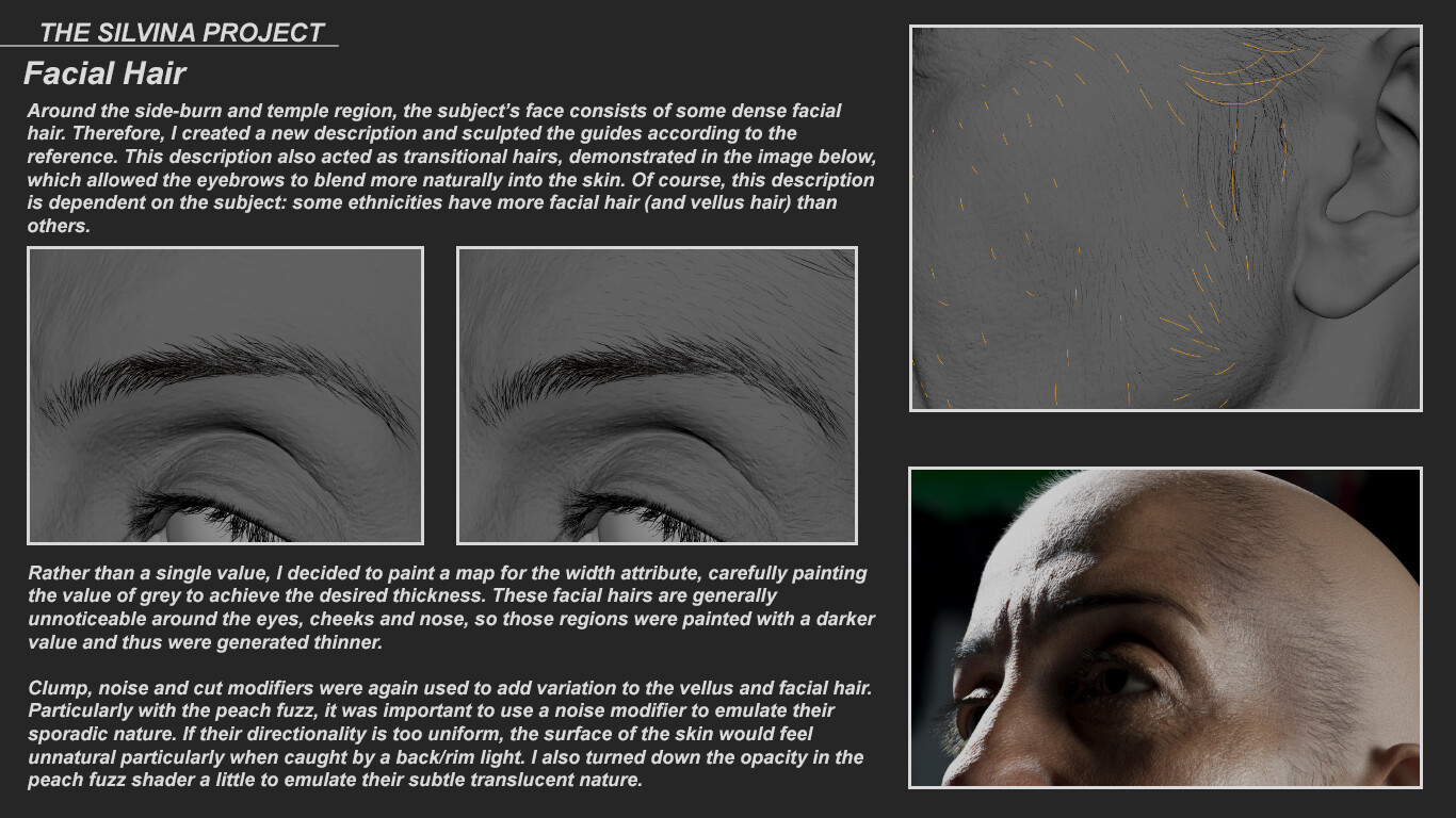 Şefki Ibrahim - THE SILVINA PROJECT: PART 4