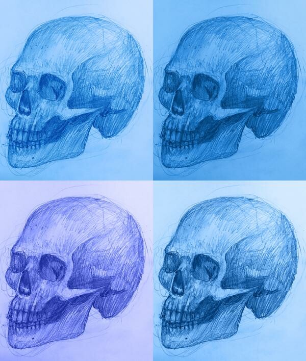 ArtStation - Skull Sketch Edit