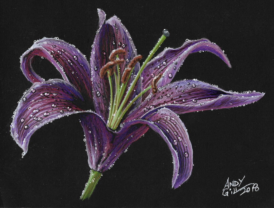 ArtStation - Purple Lily