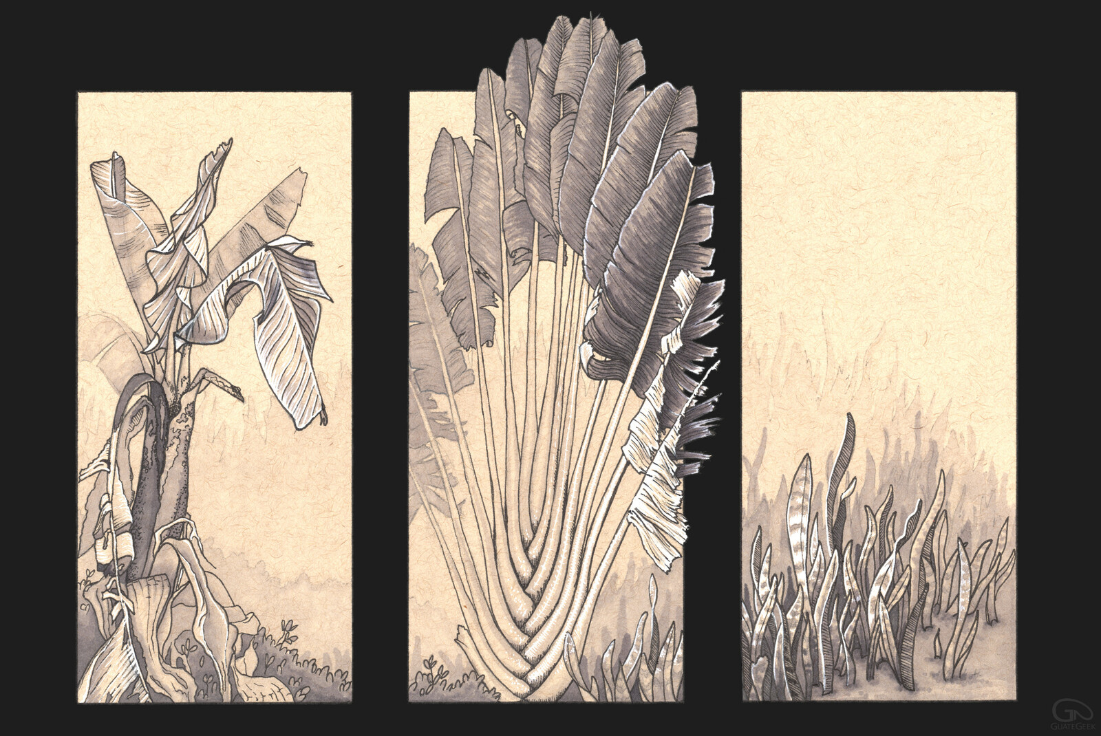 Jeff McArthur (Guategeek) - Tropical Triptych