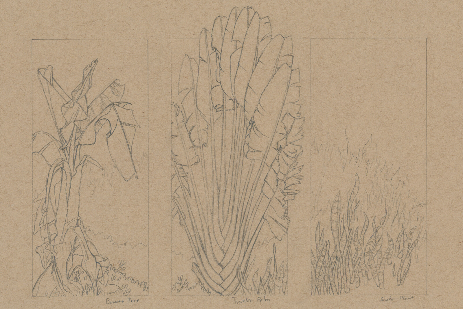 Jeff McArthur (Guategeek) - Tropical Triptych