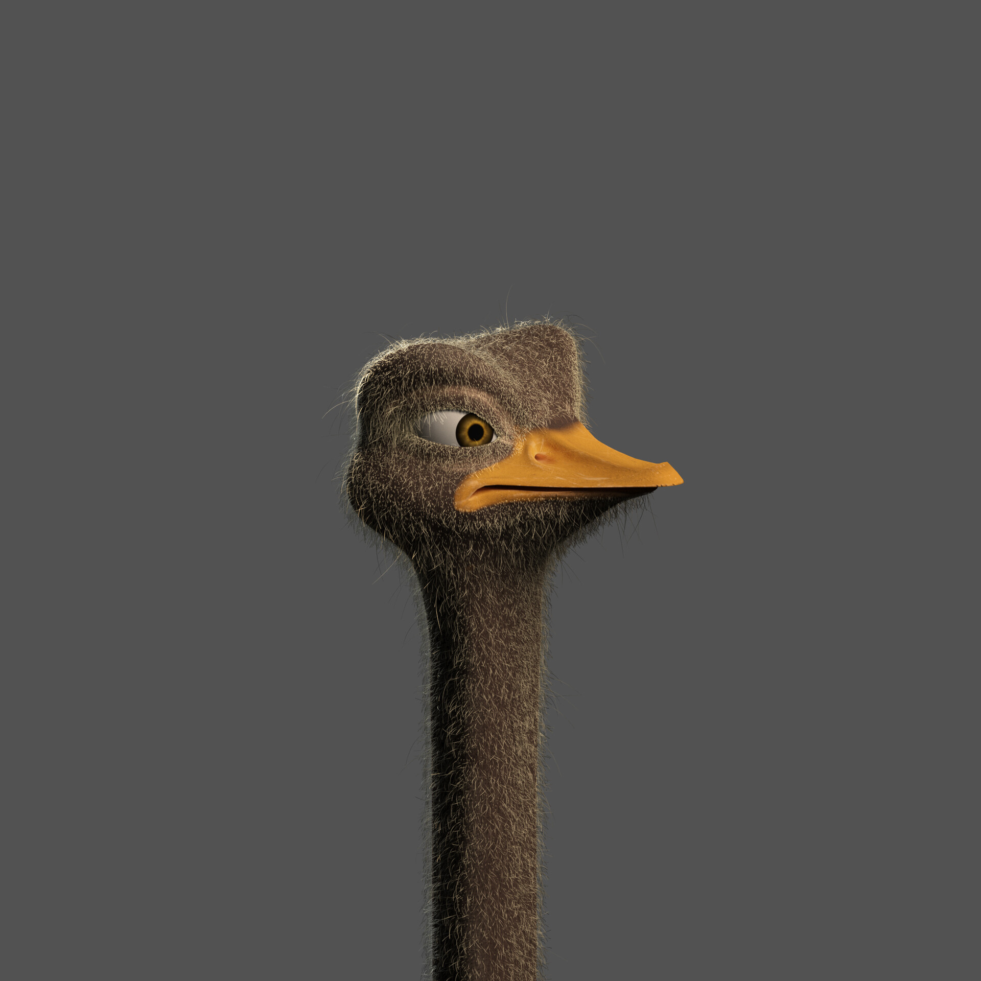 Angry Ostrich