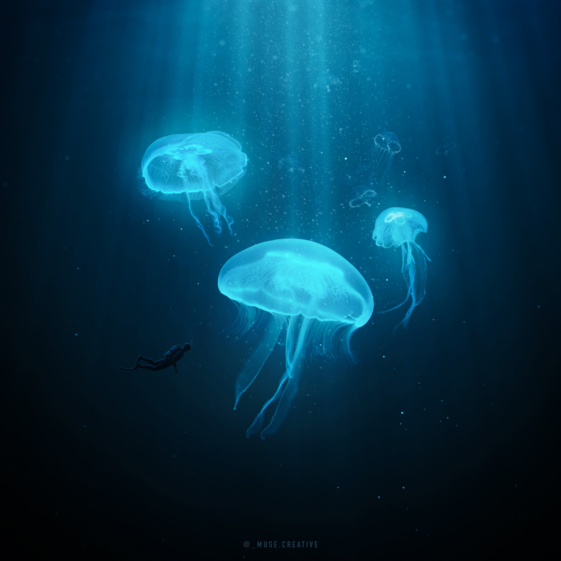 ArtStation - Jellyfish PhotoManipulation