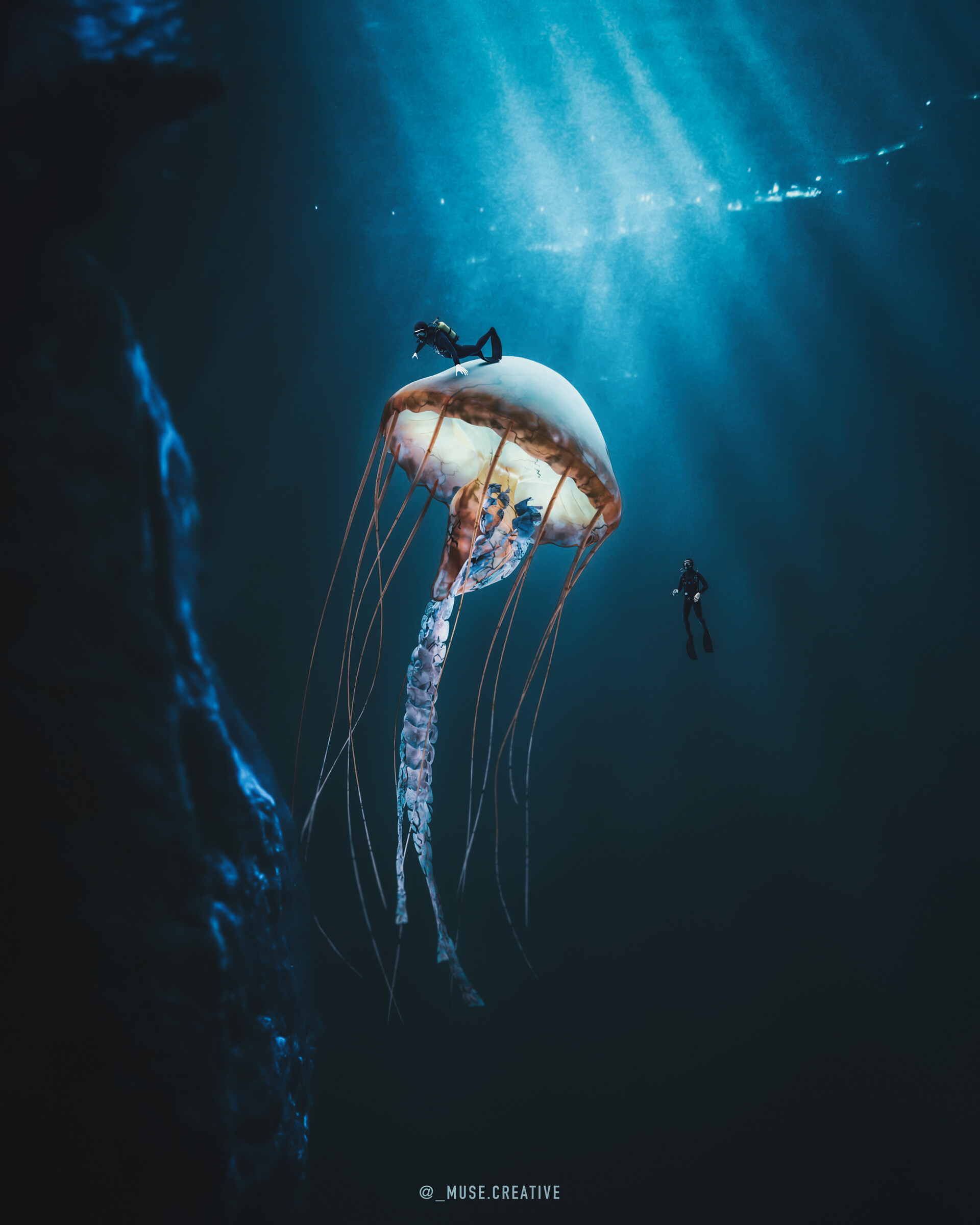 ArtStation - JELLIES 2.0