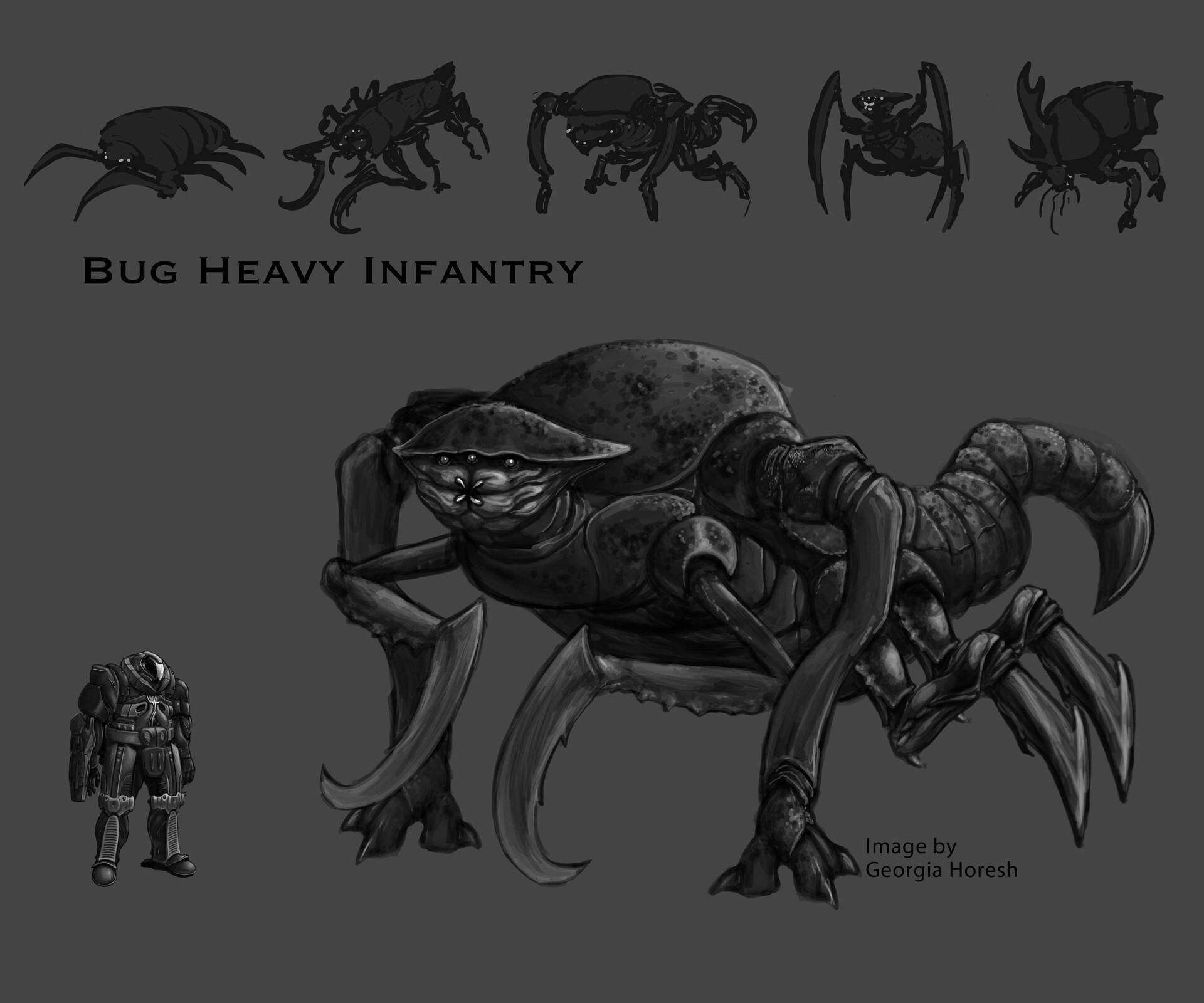 Starship Troopers Bugs Novel