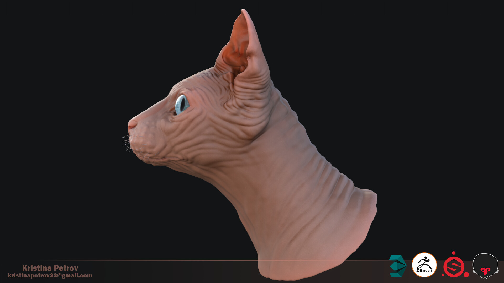 ArtStation - Sphynx cat