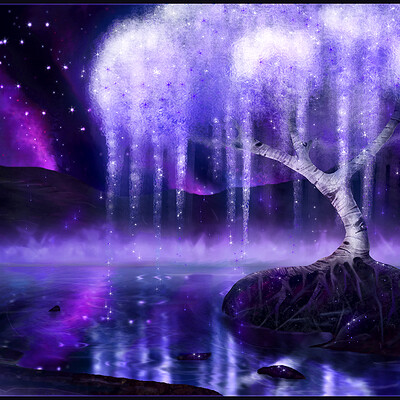 Shawna Ray - Portfolio