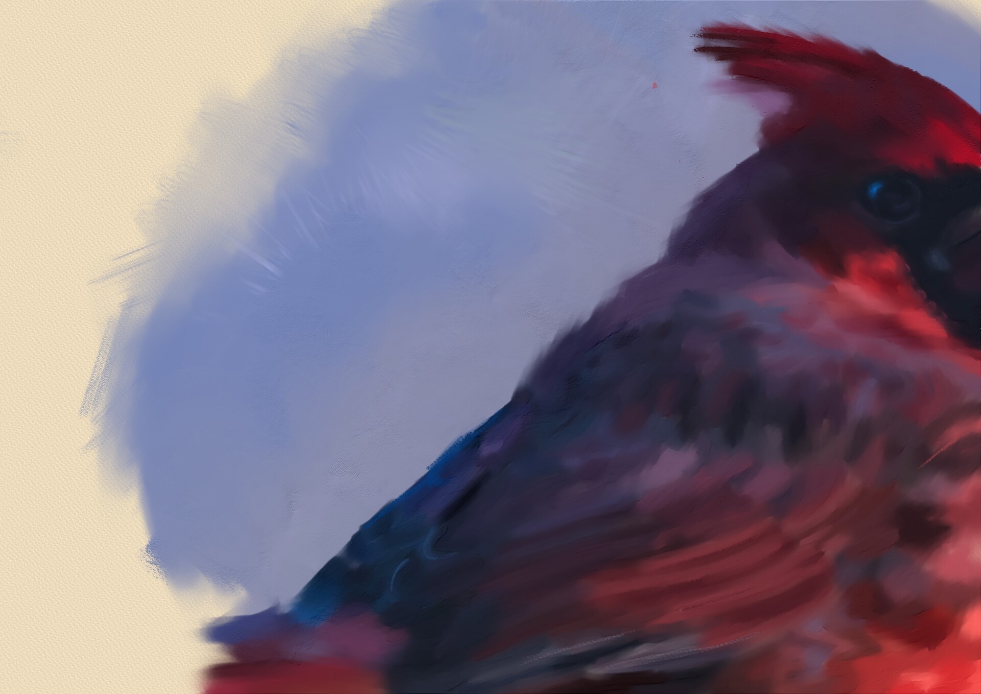 ArtStation - Cardinal