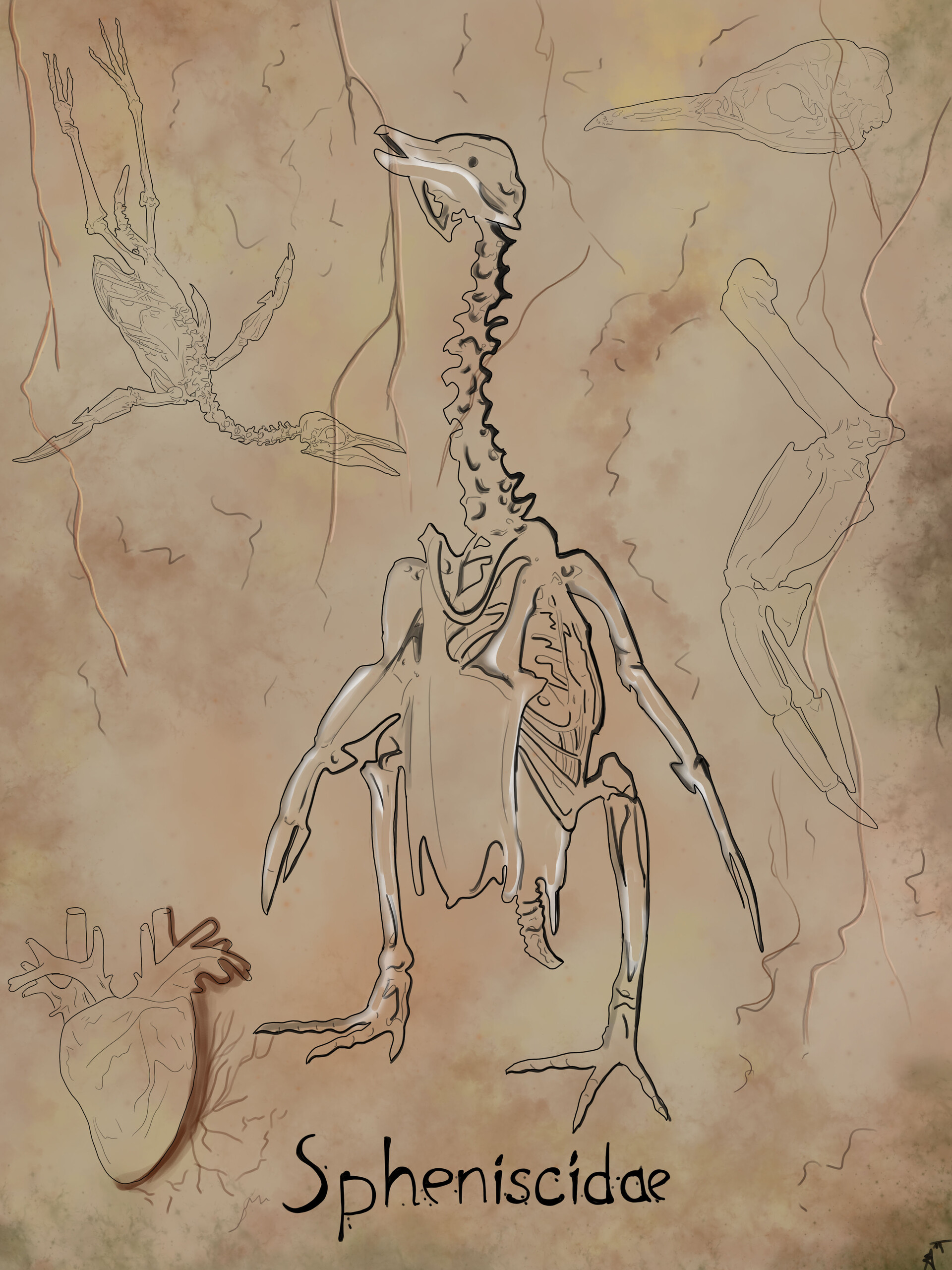 ArtStation - Spheniscidae