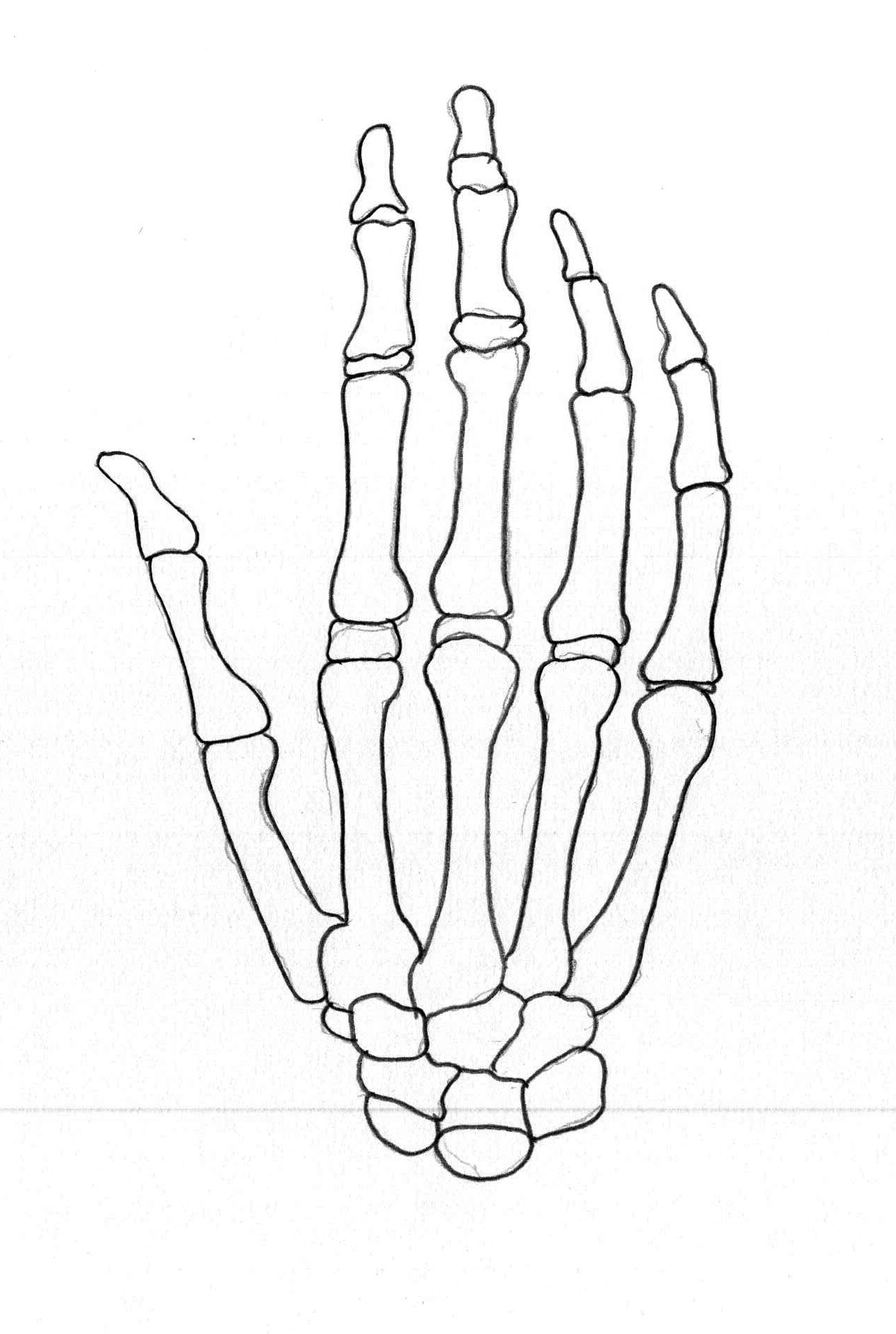 Kendra Cosburn - Arms & Hands Studies