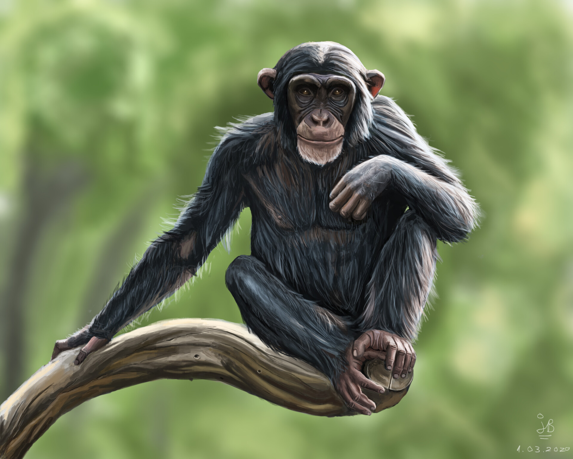 ArtStation - Monkey