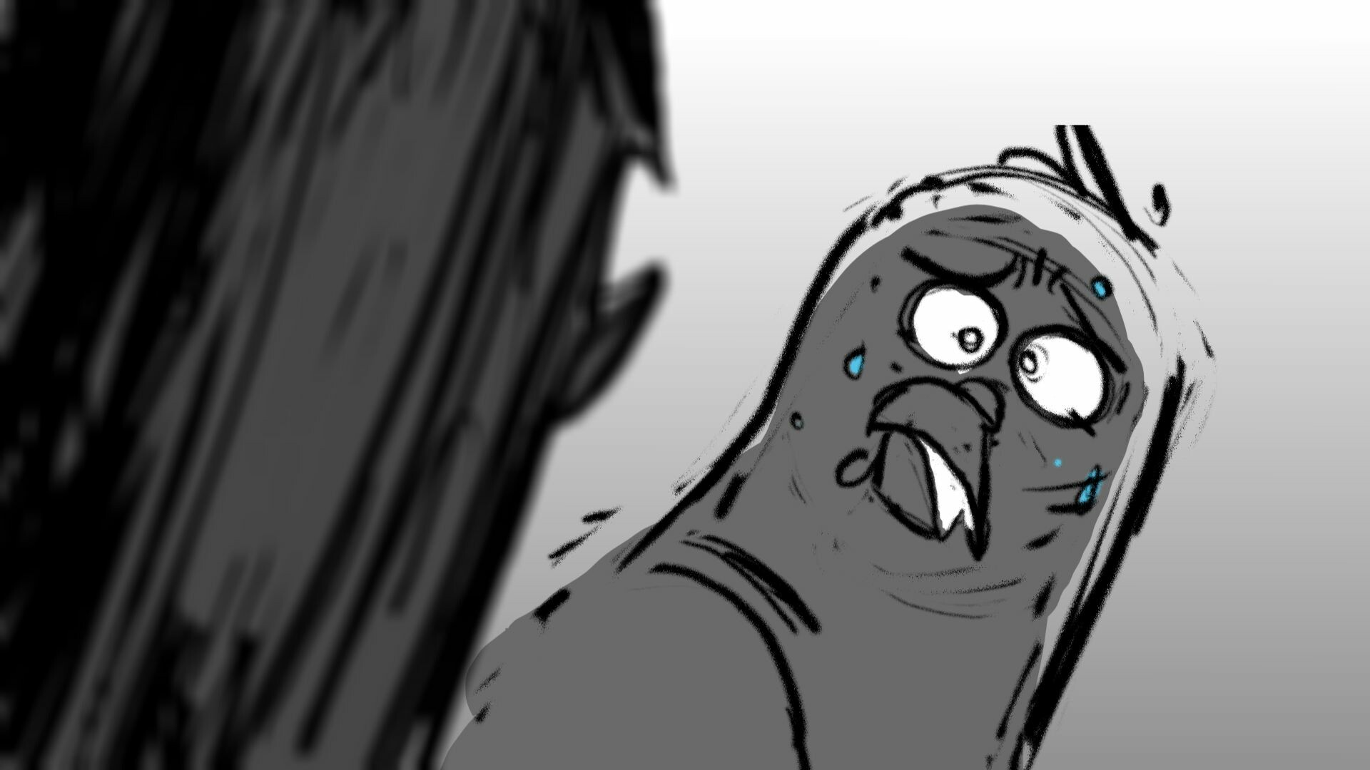 Mohsen Shokrtalab - Storyboard(bird practice!)