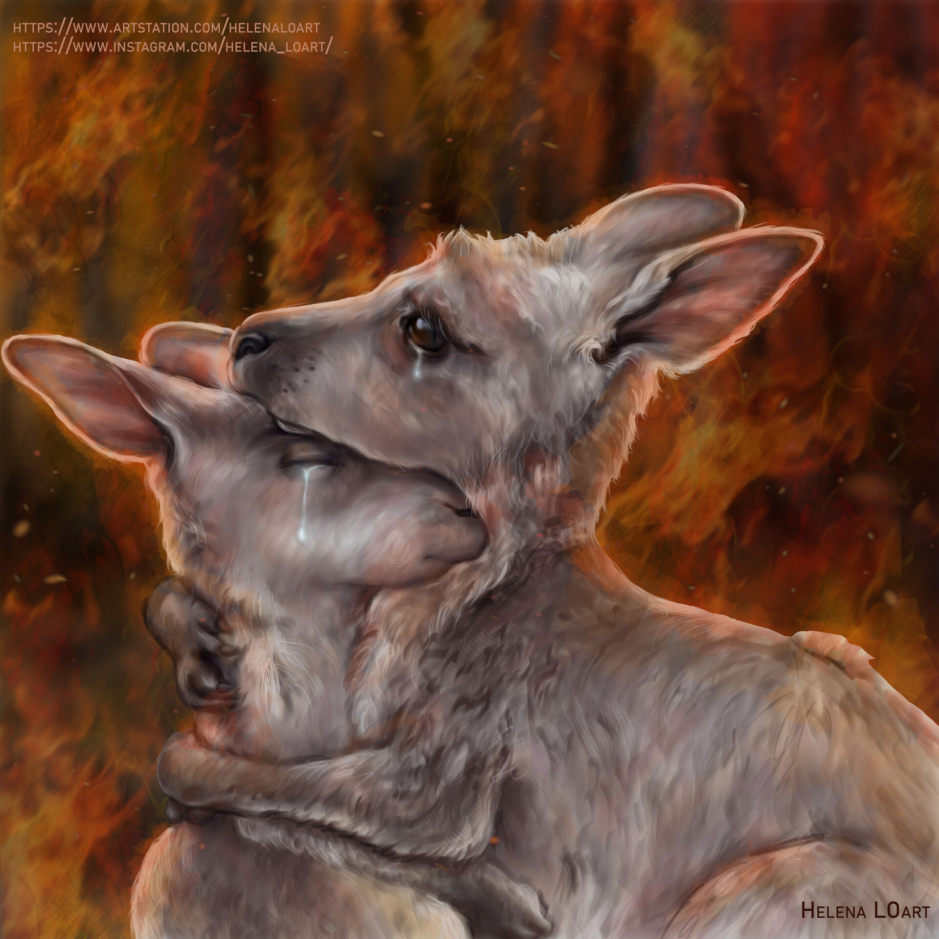 Burning heart of Australia by Helena LOart : r/ImaginaryAnimals