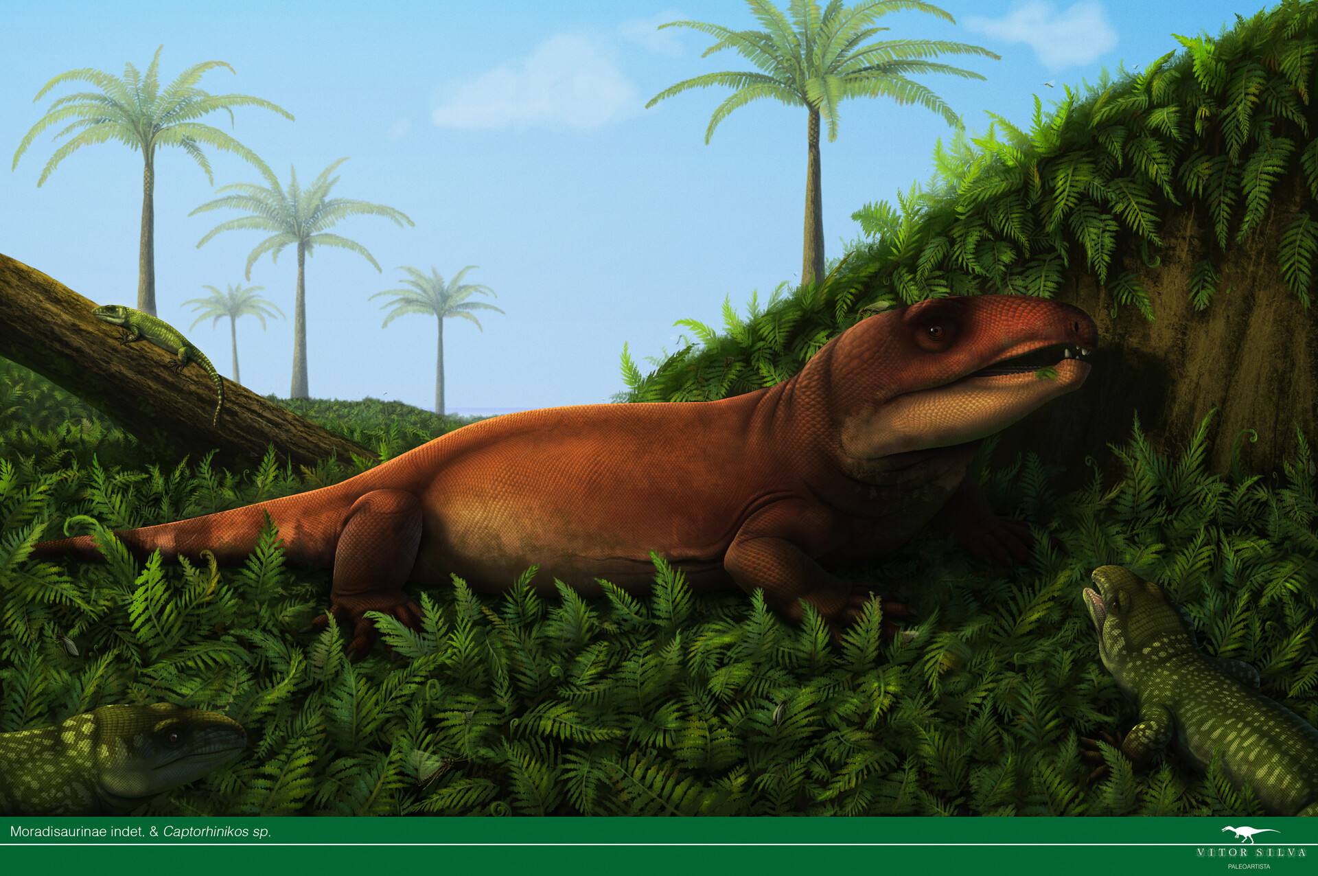 Vitor Silva - Captorhinids from the Pedra de Fogo Formation