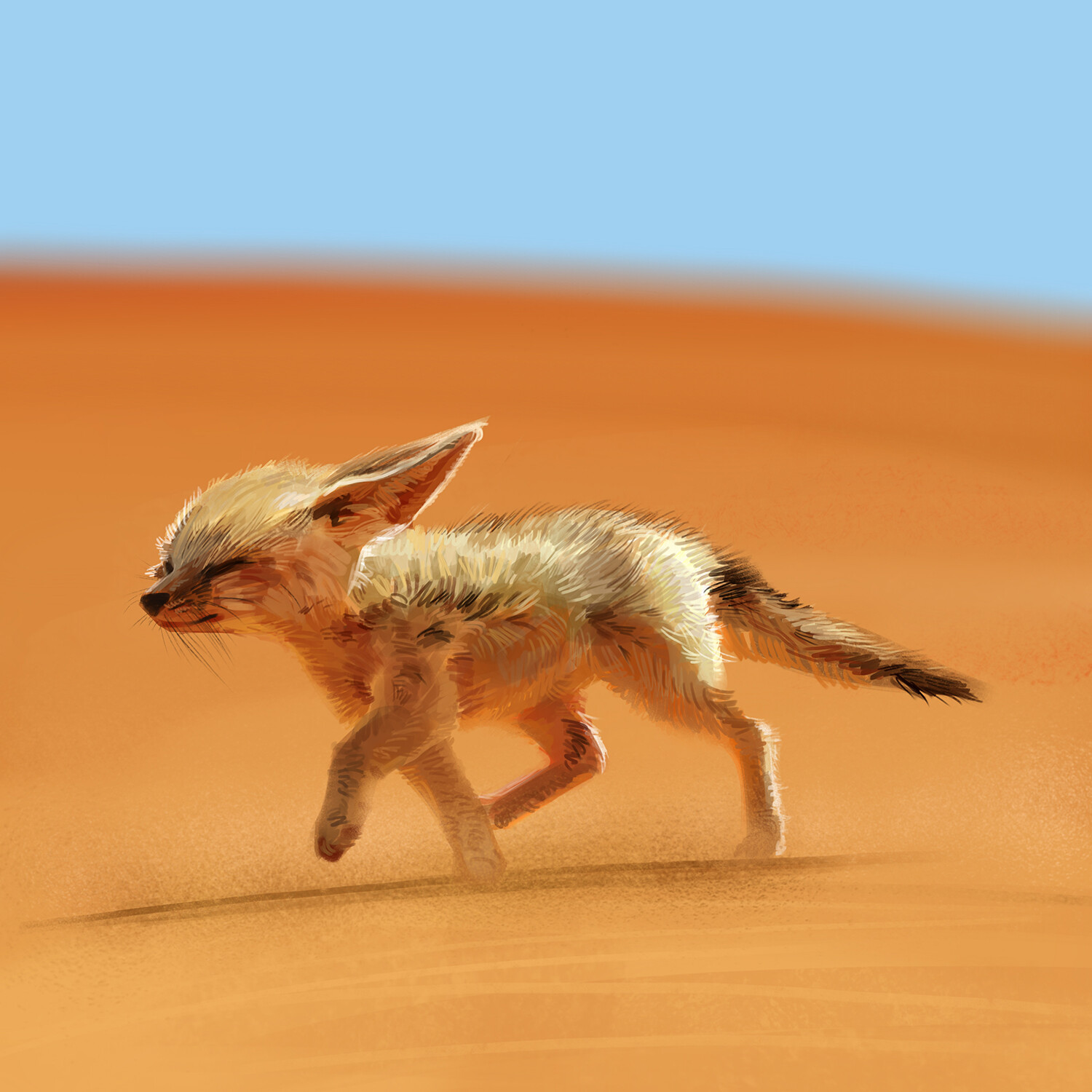 how to draw fennec fox desert