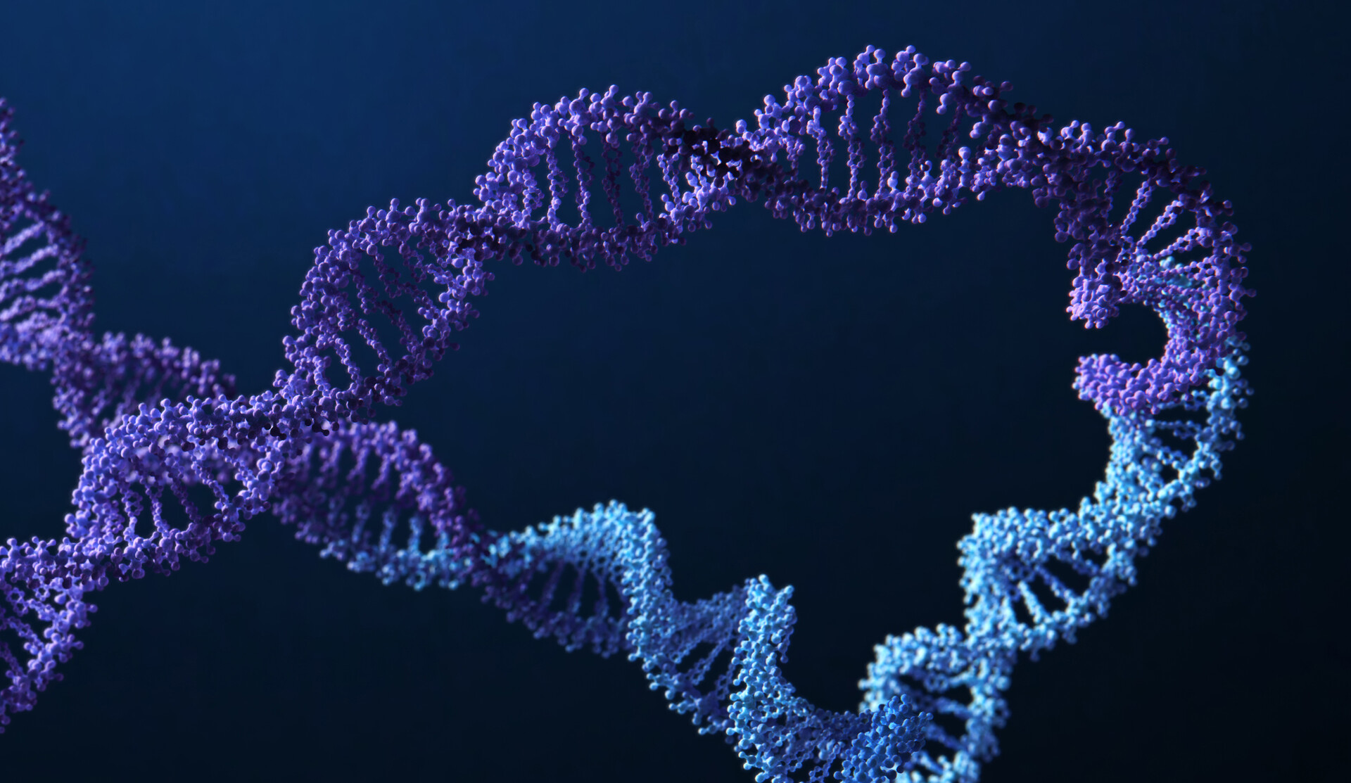 Gilles Verryken - Eurogentec - Plasmid (Miysis)