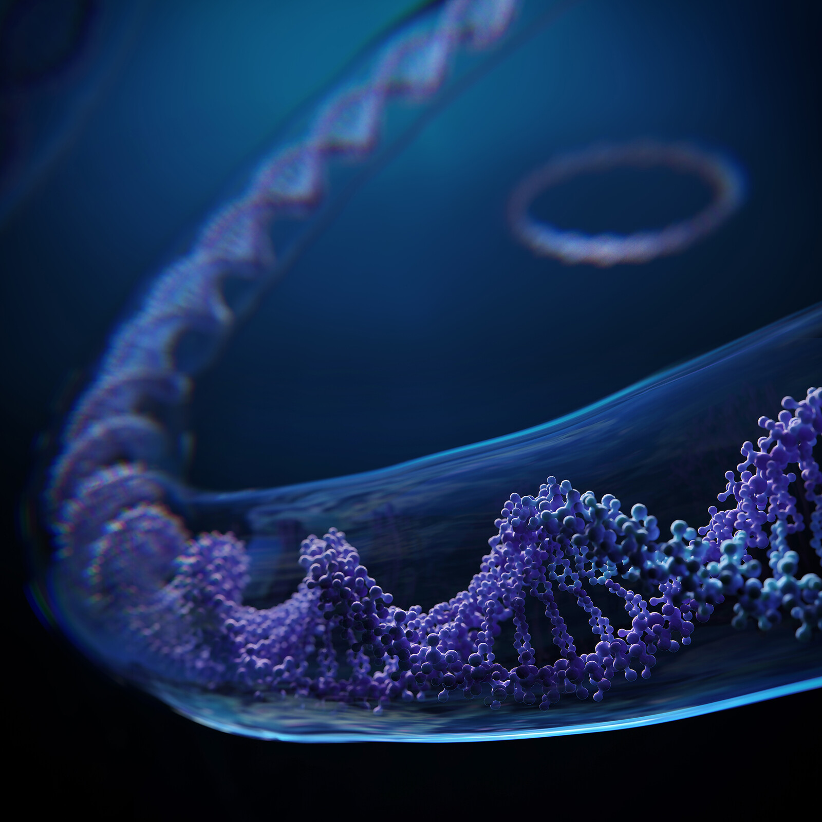 Gilles Verryken - Eurogentec - Plasmid (Miysis)