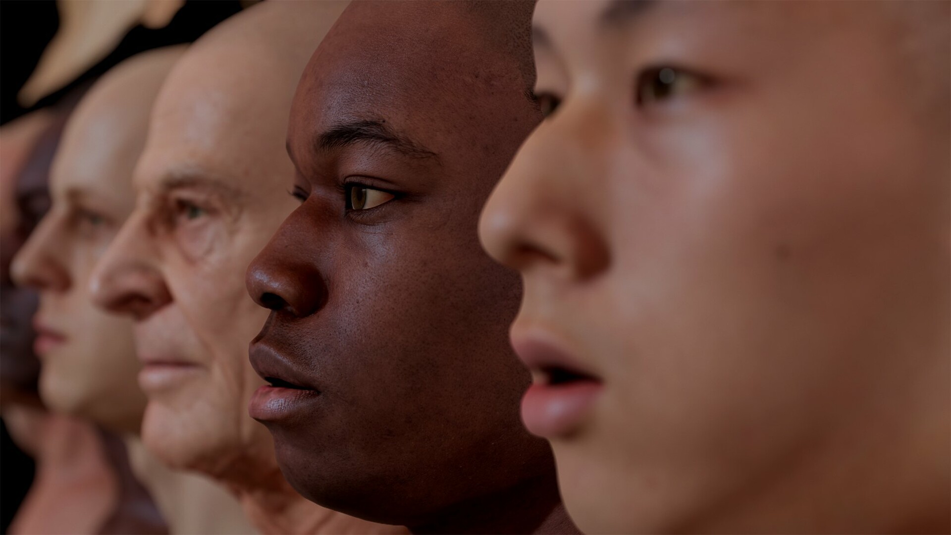 3D Scan Store - Lots of head scans