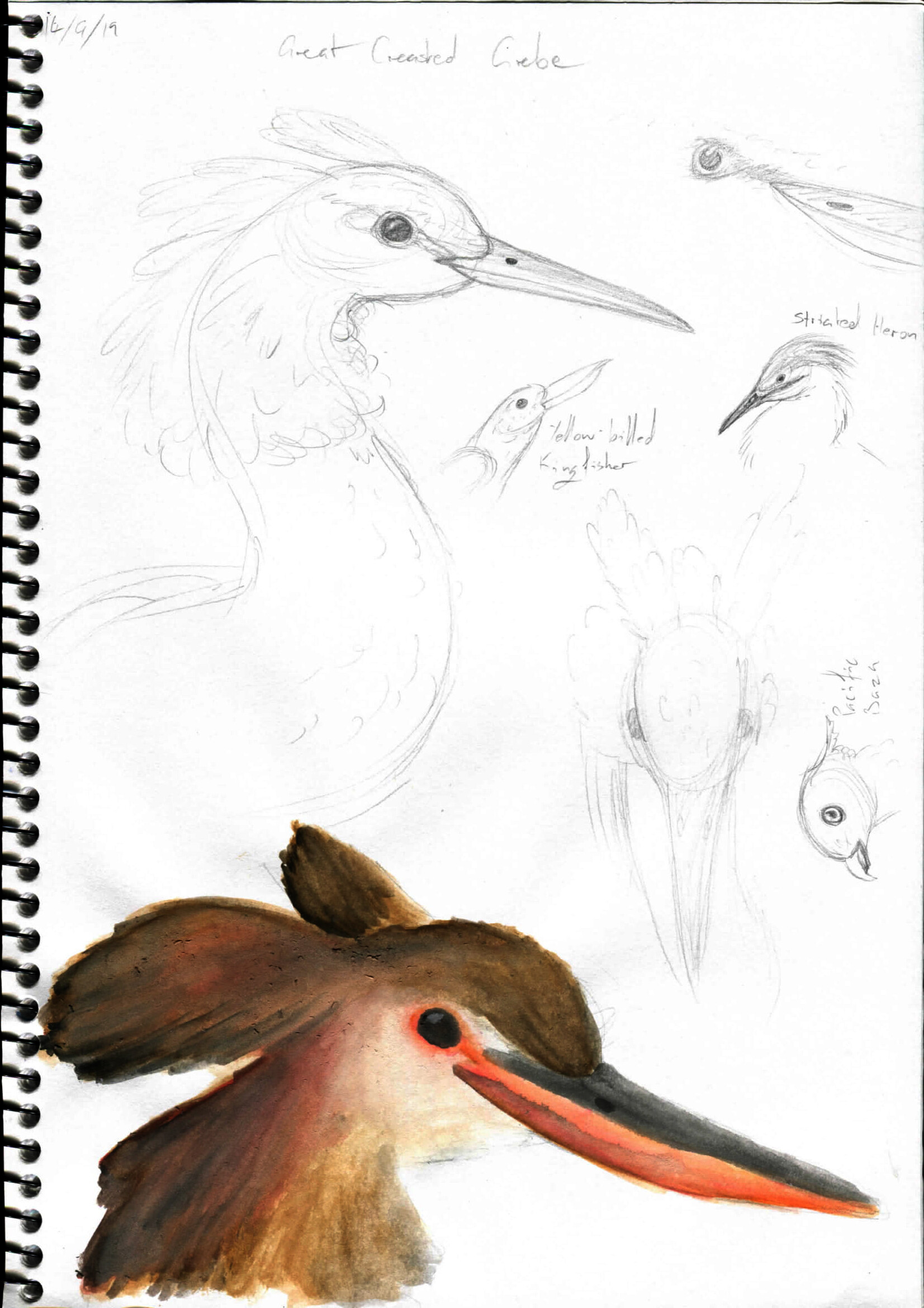 ArtStation - Museum Drawings