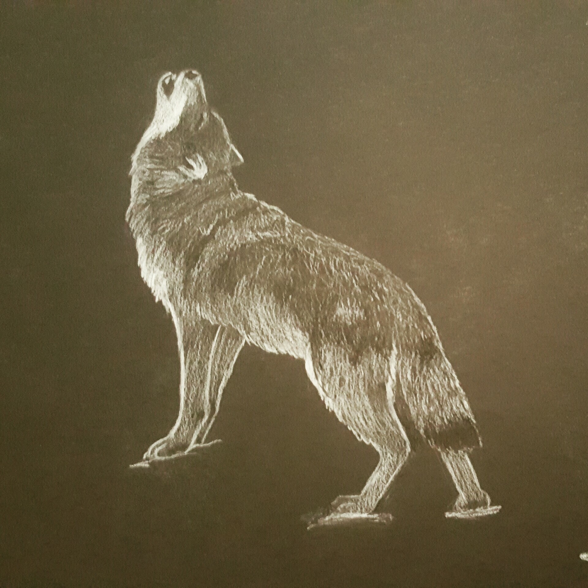 ArtStation - Howling wolf