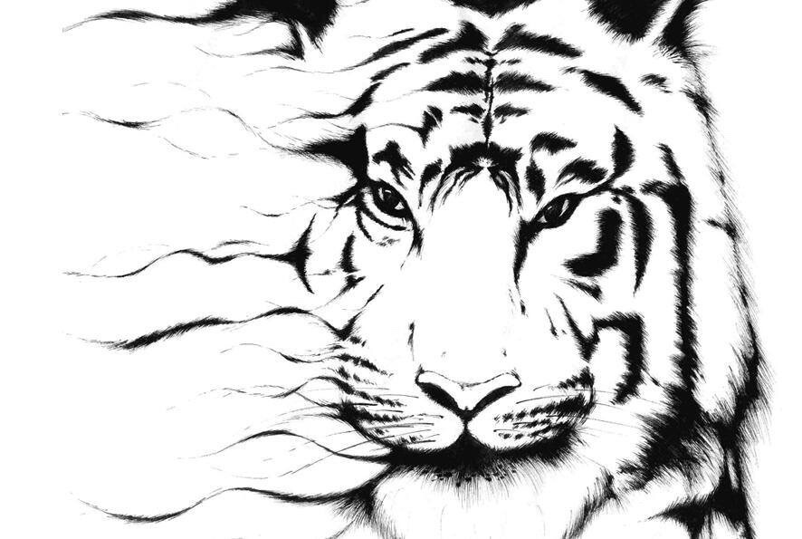 ArtStation - Tiger in the wind
