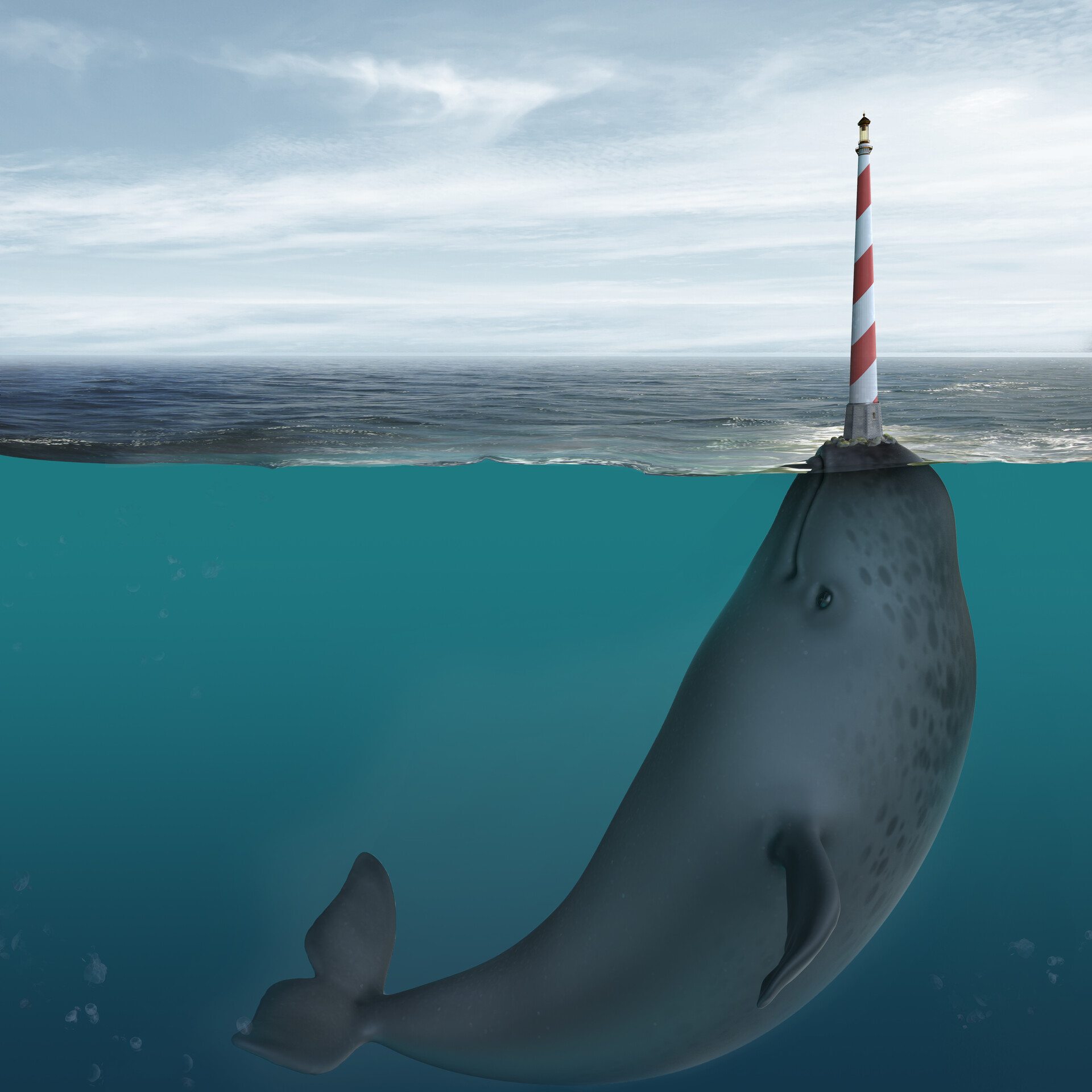 ArtStation - narwhal