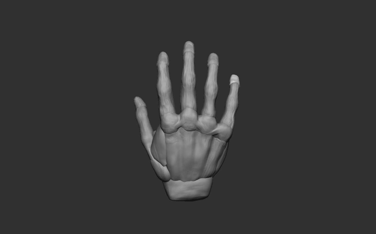 Hana Baker - Anatomy Study - Hand