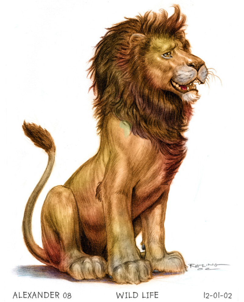Samson The Lion (Ryan's Father) (Concept art) by Spoulard on DeviantArt