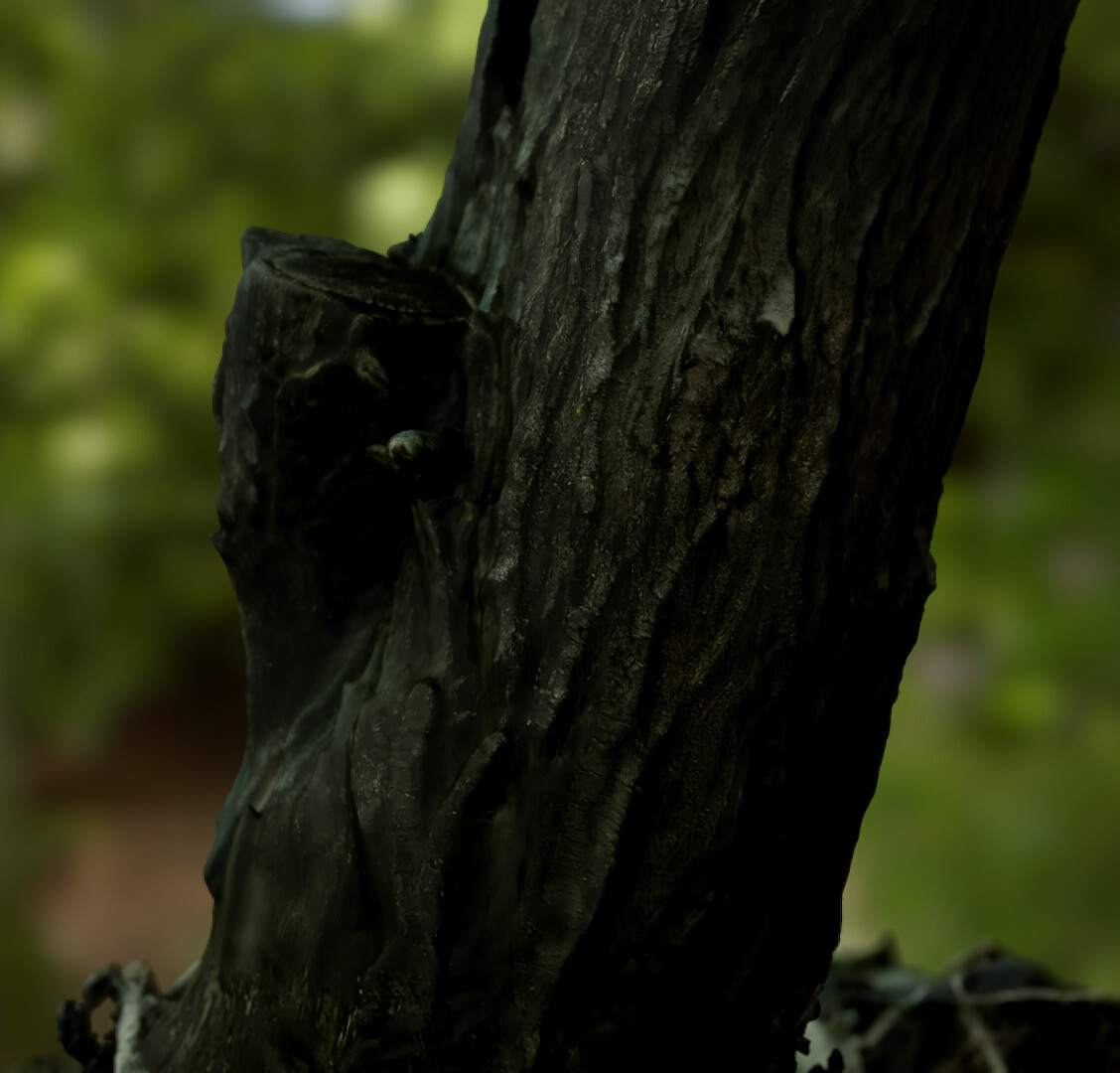 Jonathon Gregory Bick - Photogrammetry: Stumpy Tree