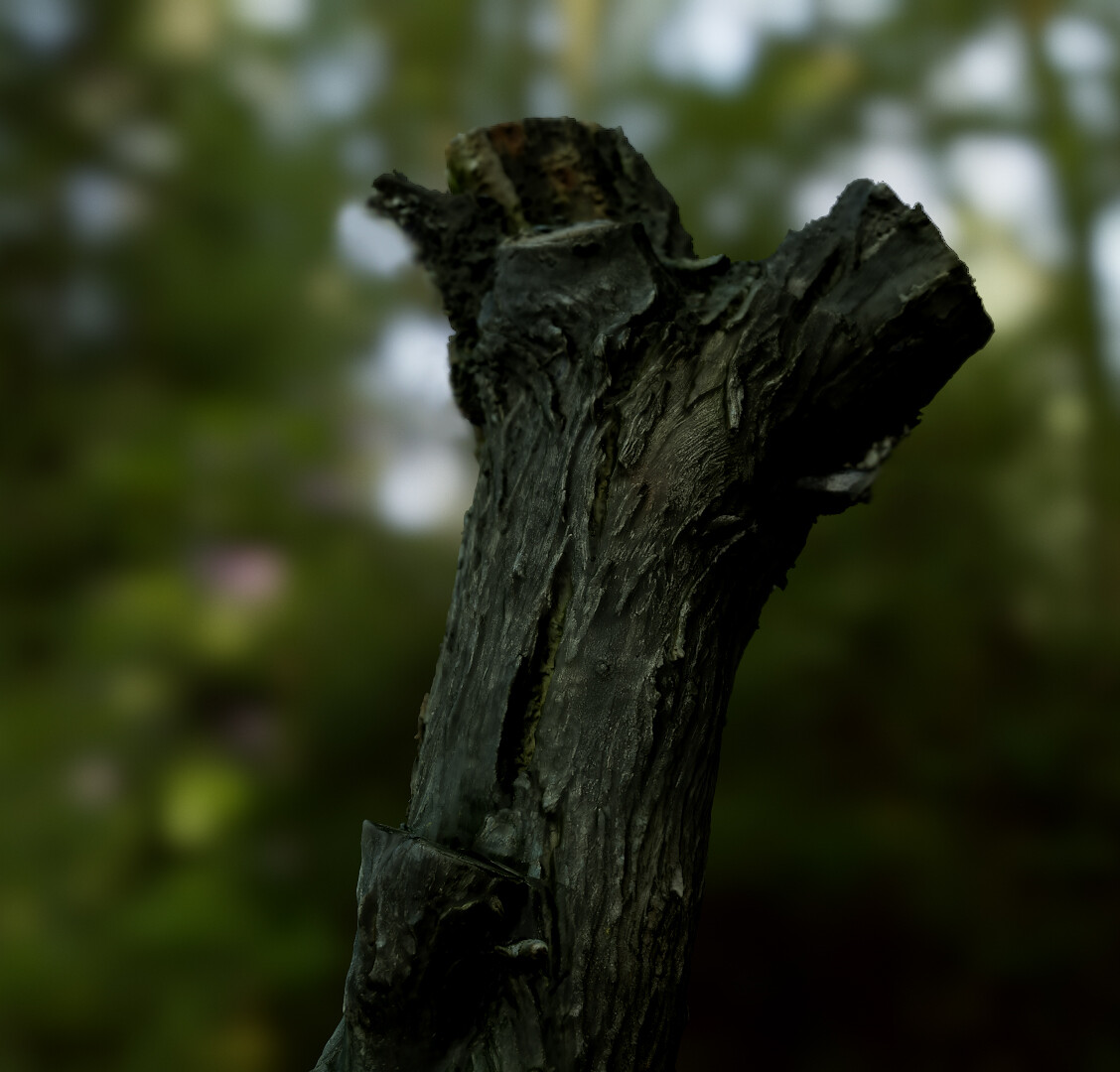 Jonathon Gregory Bick - Photogrammetry: Stumpy Tree