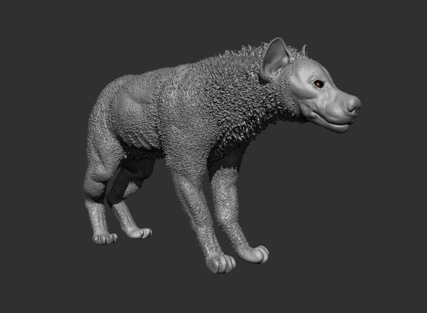 ArtStation - HYENA#ZBRUSH SKULPTING