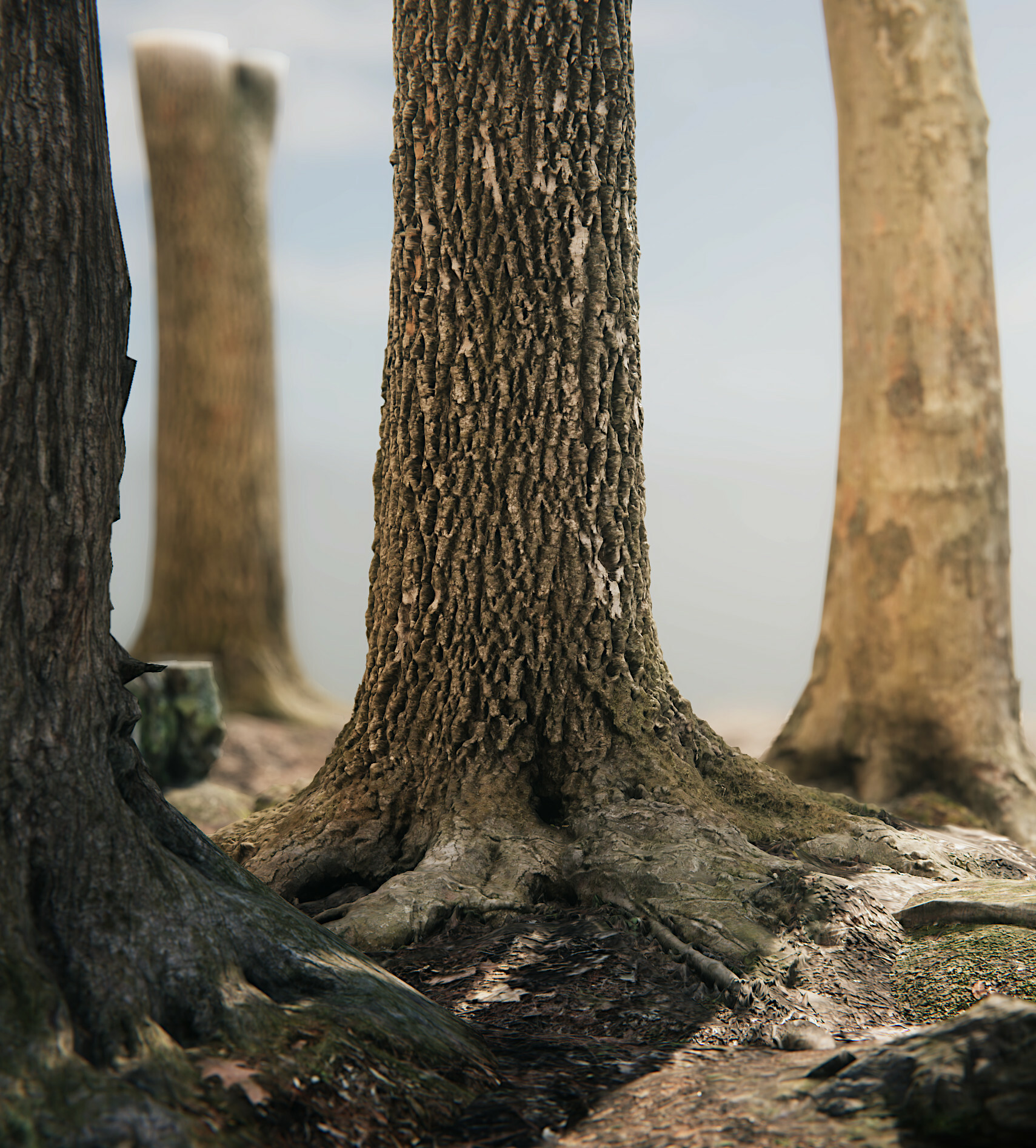 ArtStation - Tree Photogrammetry - Unity HDRP