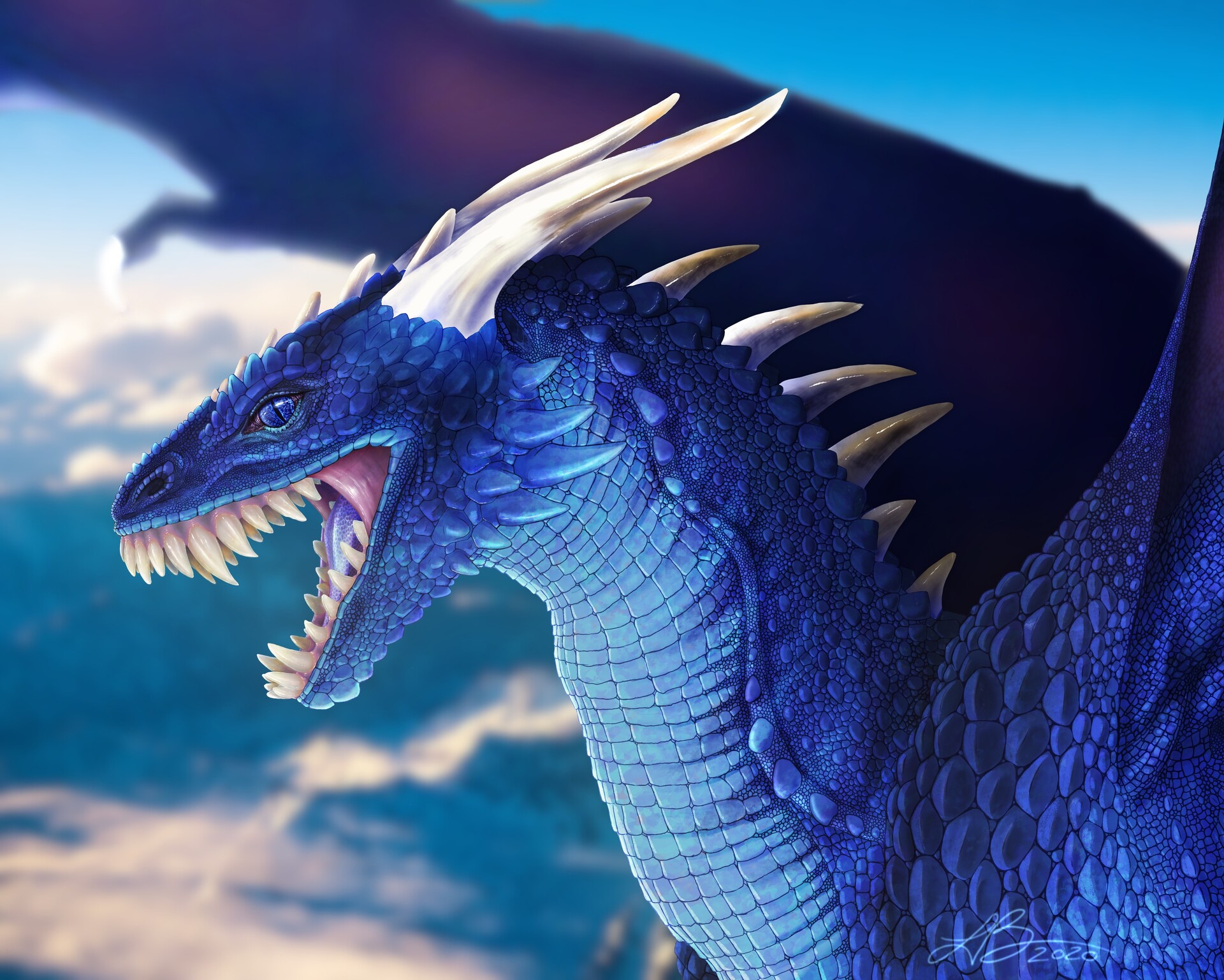 ArtStation - Saphira