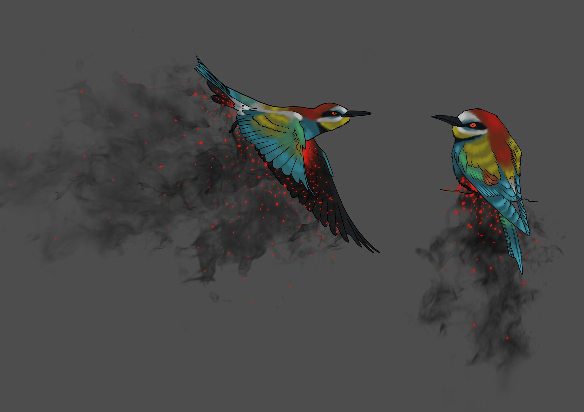 ArtStation - Fire bird