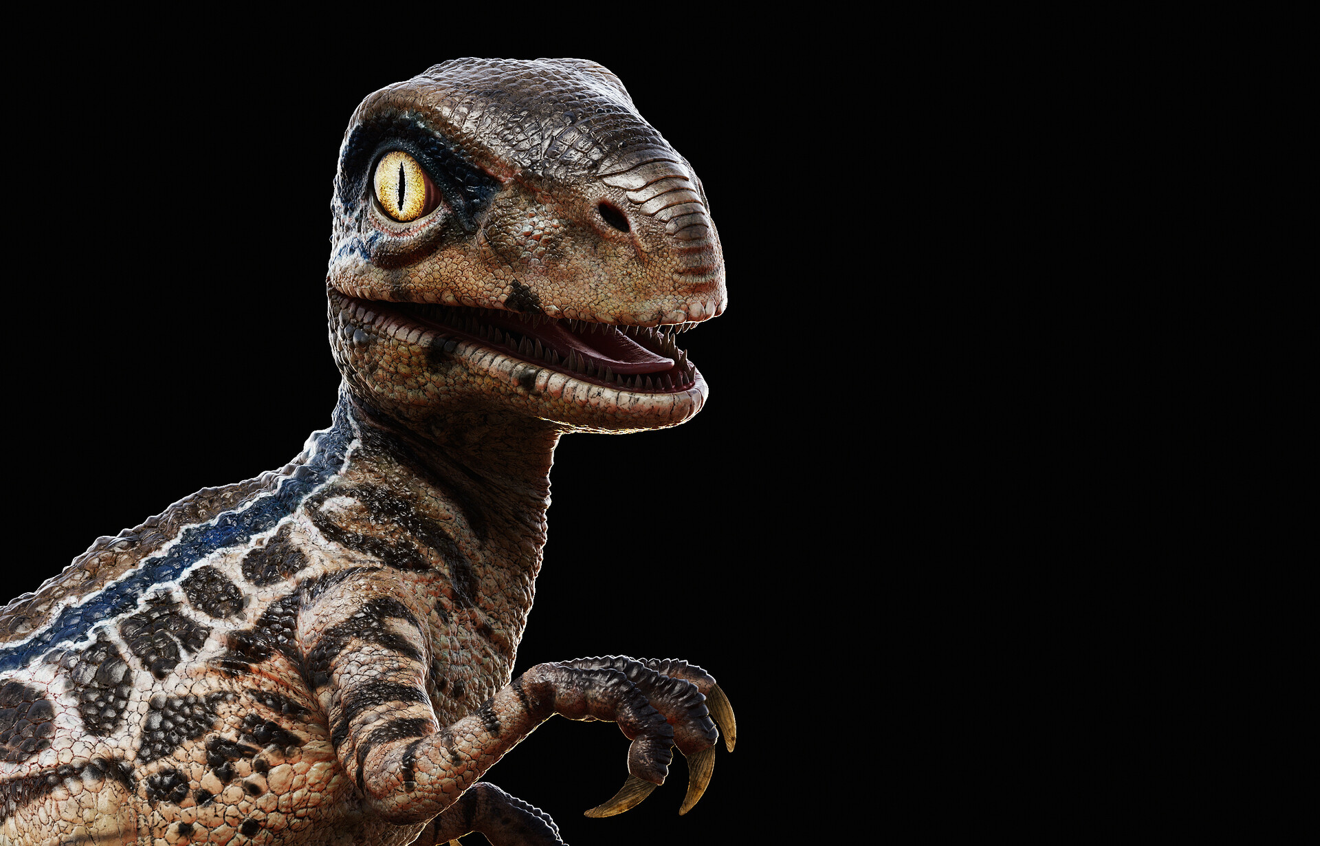 Guga Baraldi - Pet Birthday