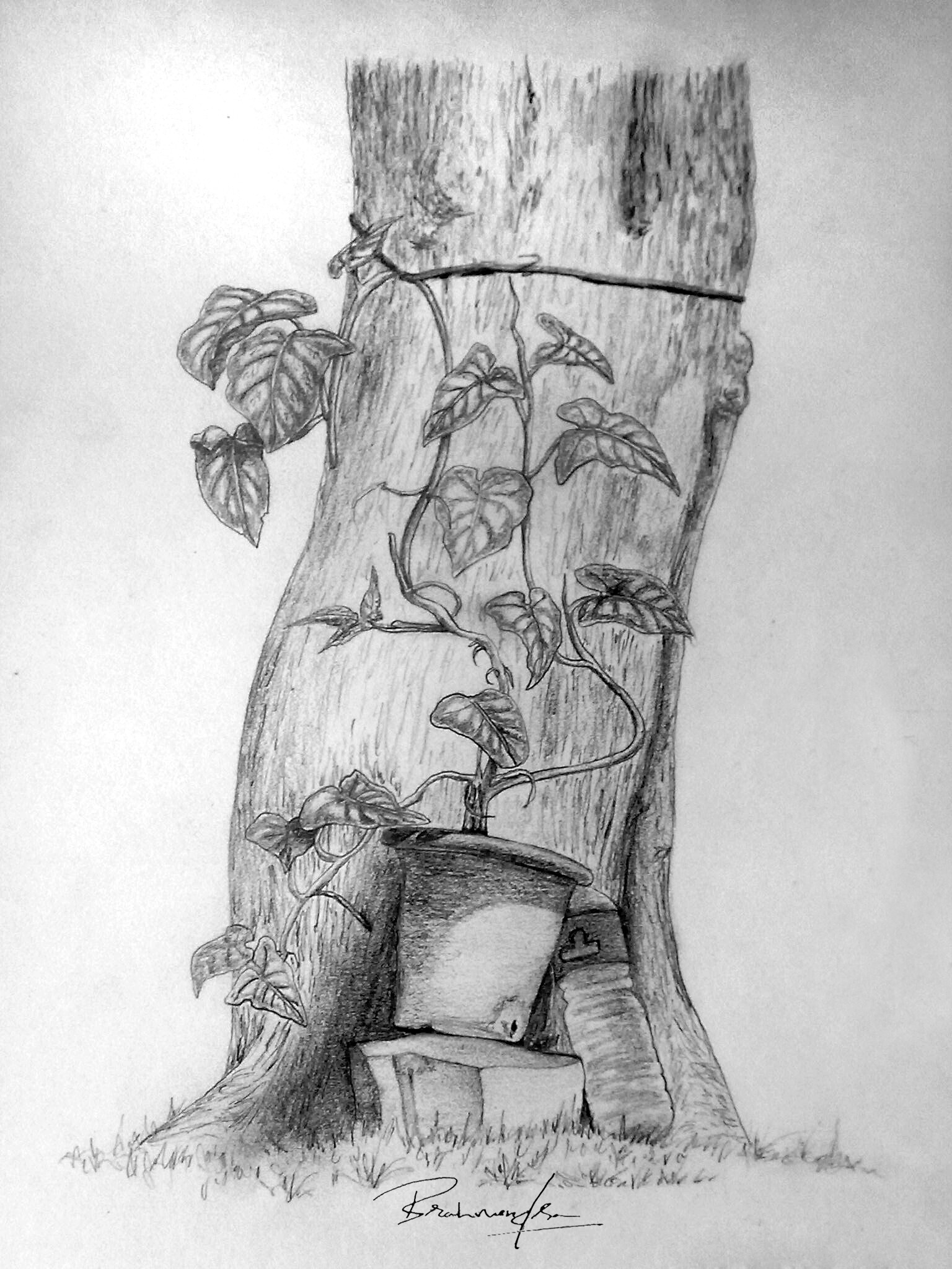 ArtStation - Tree and creeper