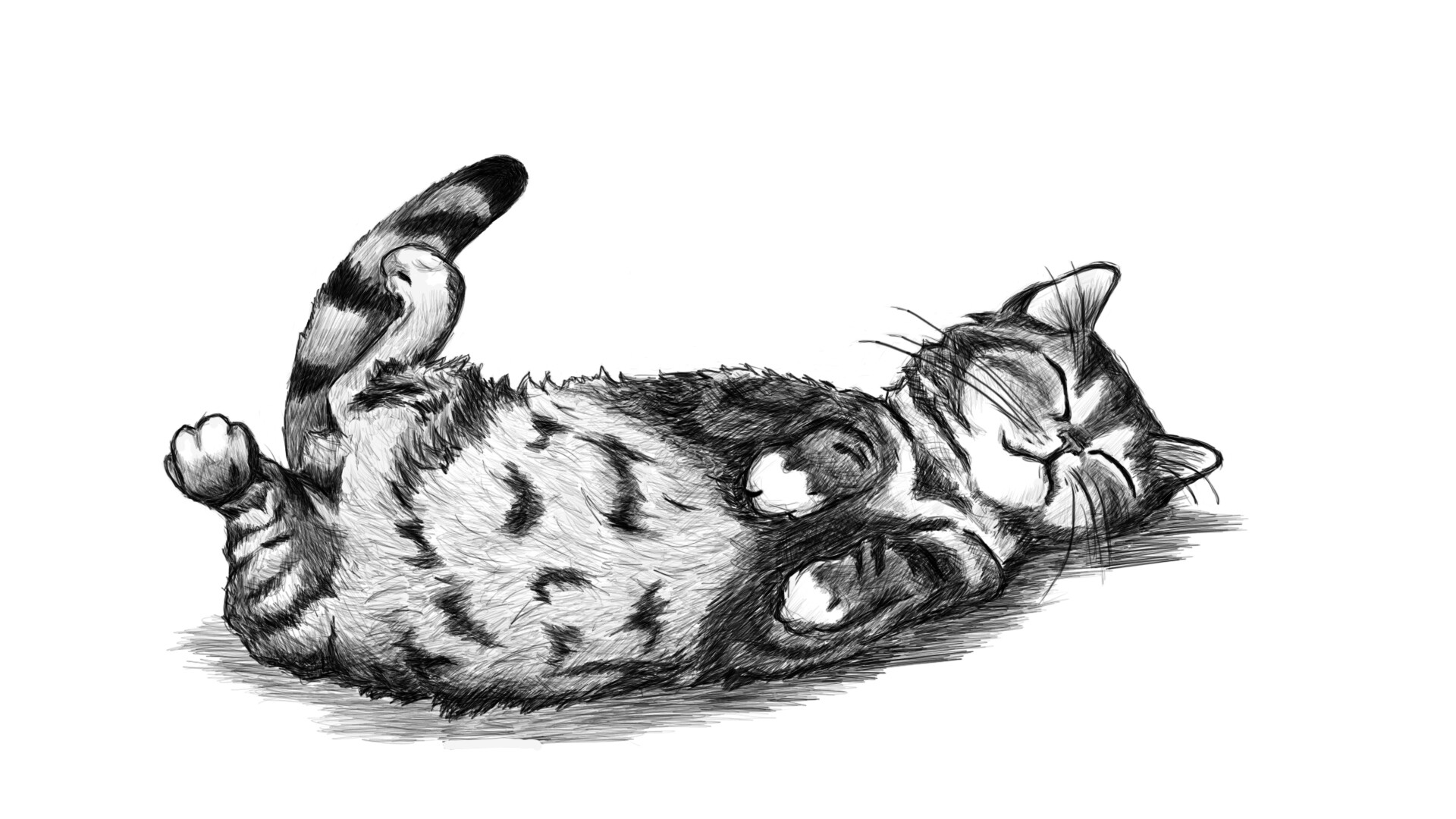 ArtStation - Cute and lazy cat