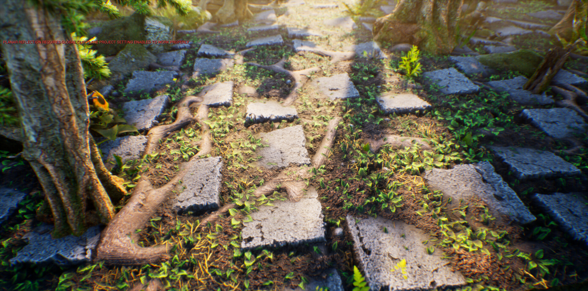 Karim Abou Shousha - SP designer Forest ground