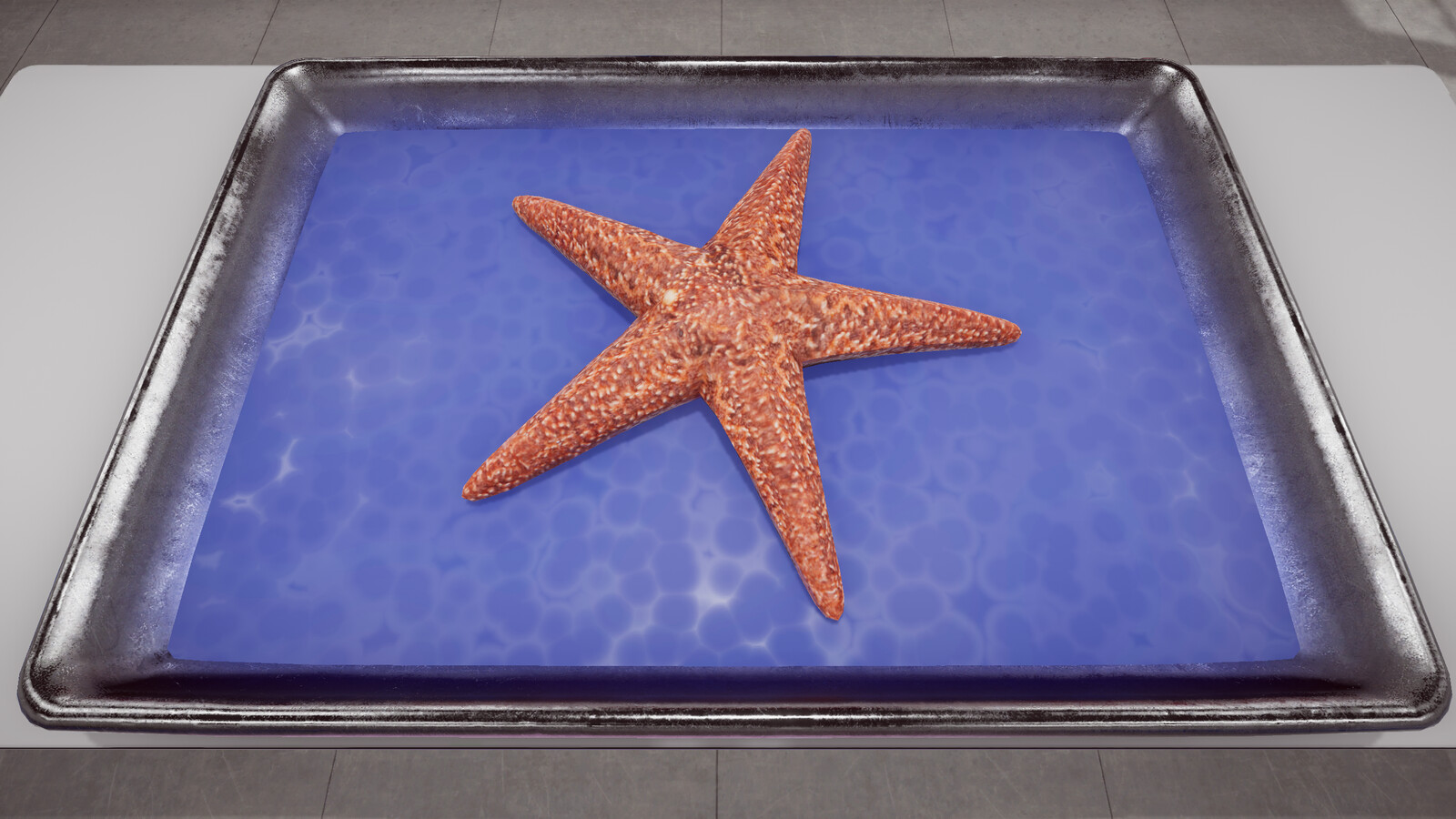 Aaron Hagens - VR Invertebrate Dissection: Invertebrate Investigation