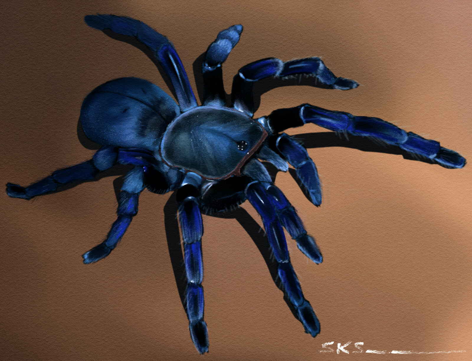 Mikhail Moore - Blue Tarantula