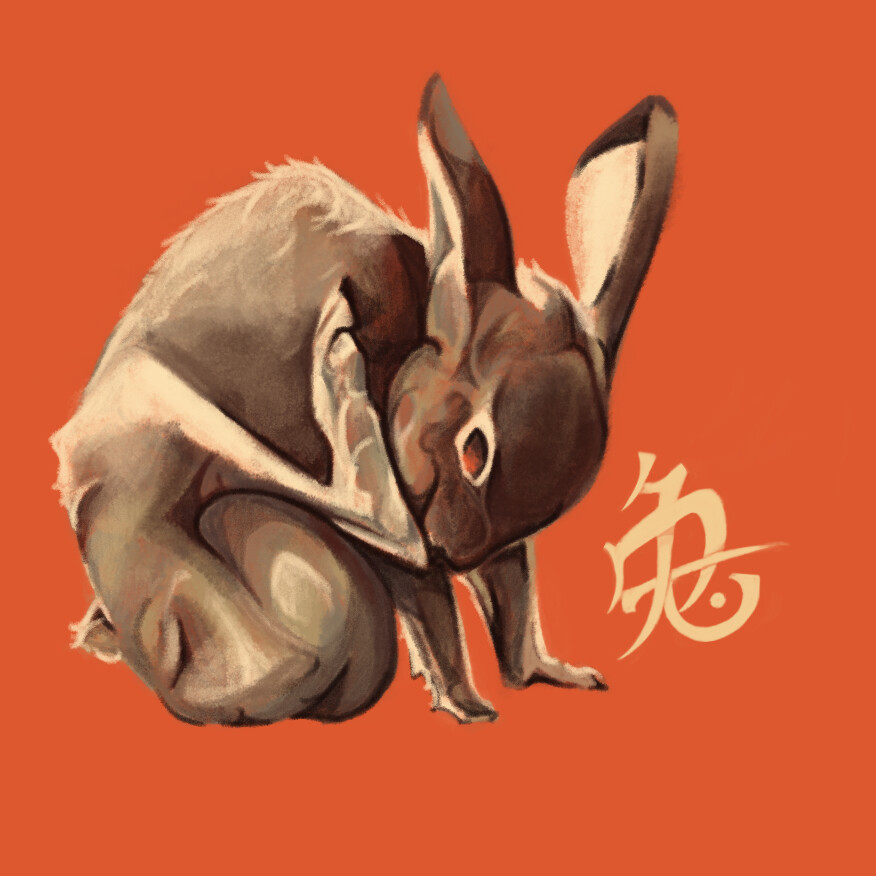 ArtStation - Rabbit