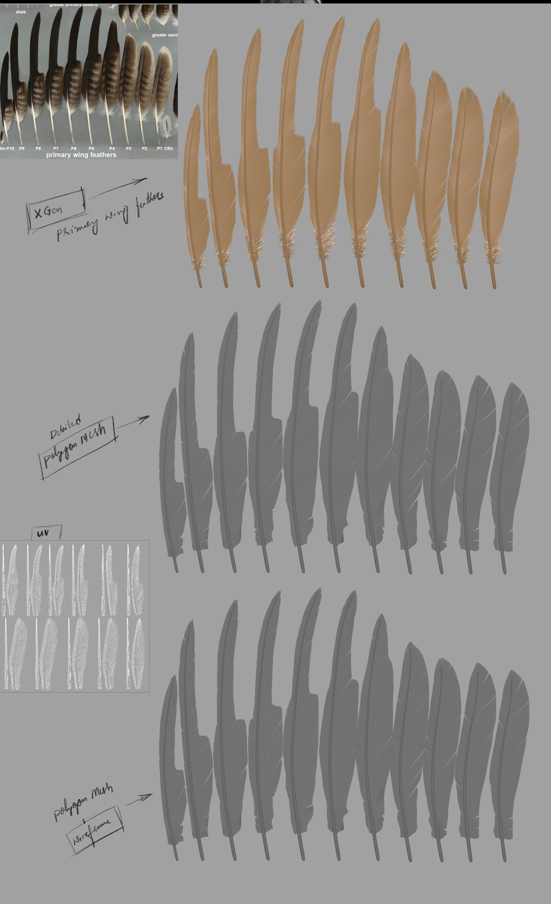 thrinethra ms - Feather R&D | XGen