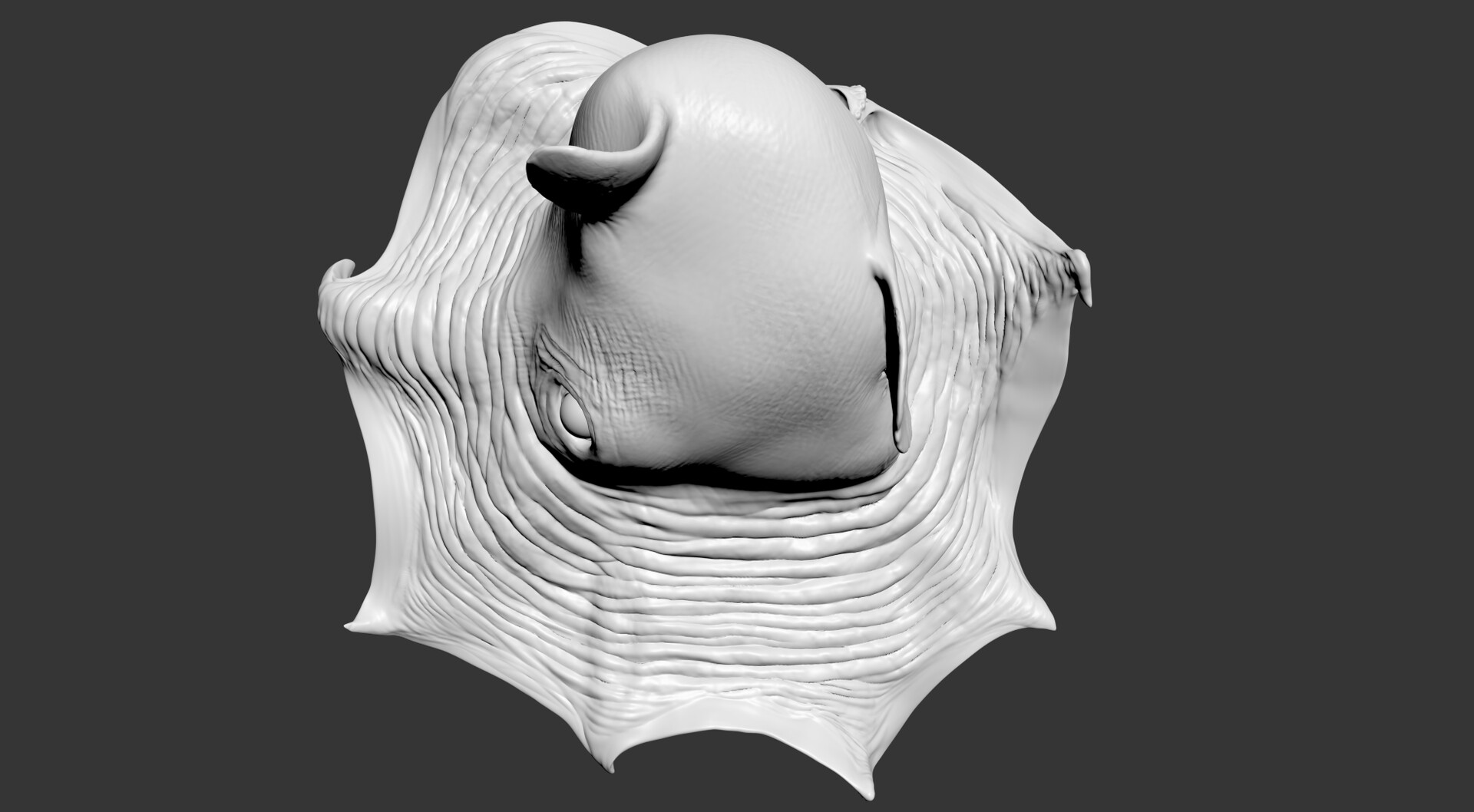 Svitlana Lynne - Dumbo Octopus