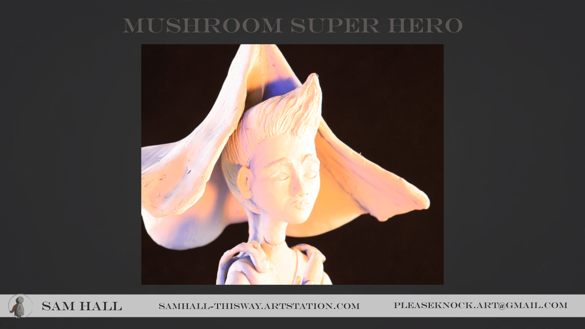 Sam Hall - Mushroom Super Hero