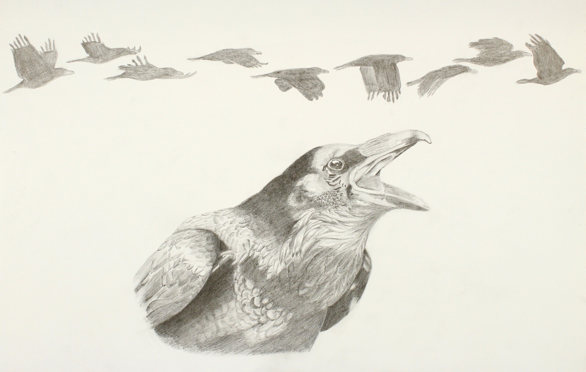 ArtStation - Long Study - Raven