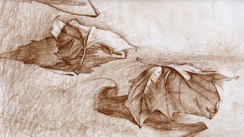 ArtStation - dried leaves