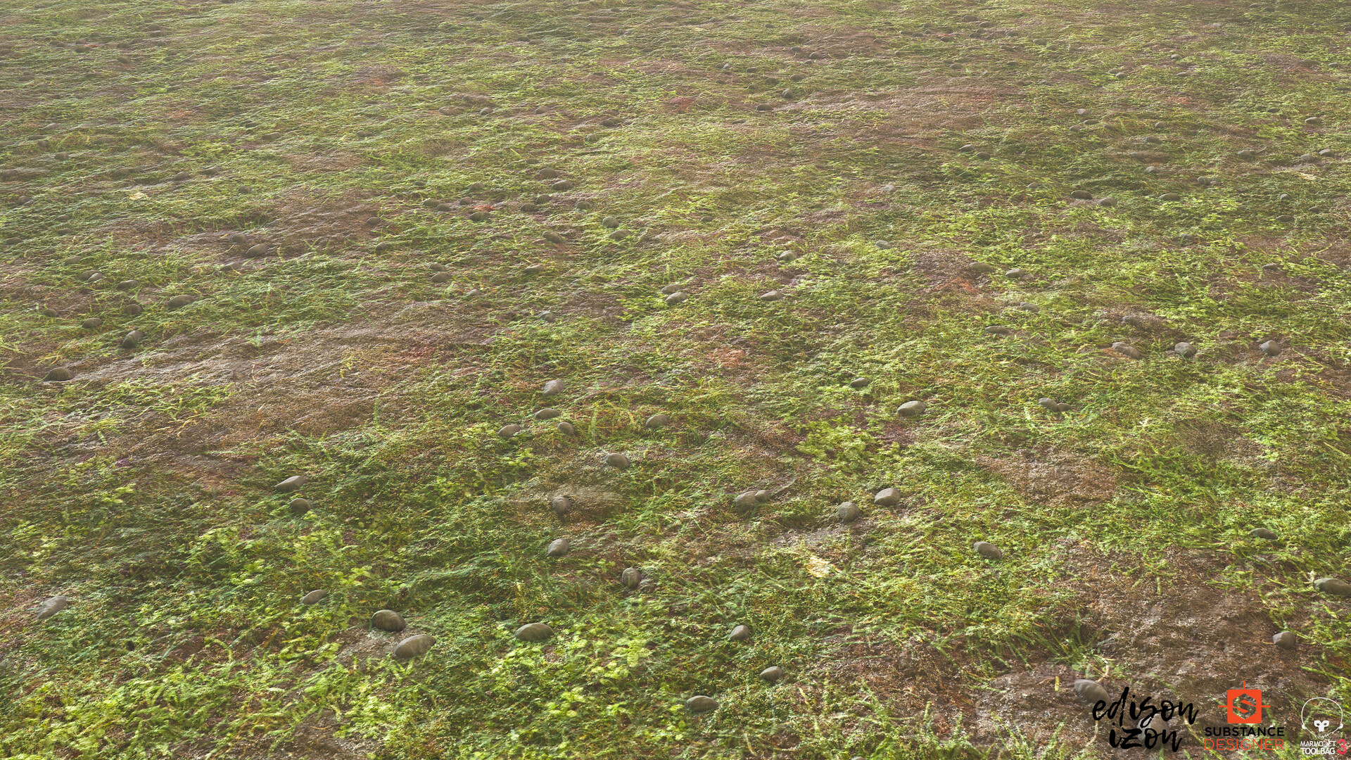 ArtStation - Ground With Small Stones Material Study